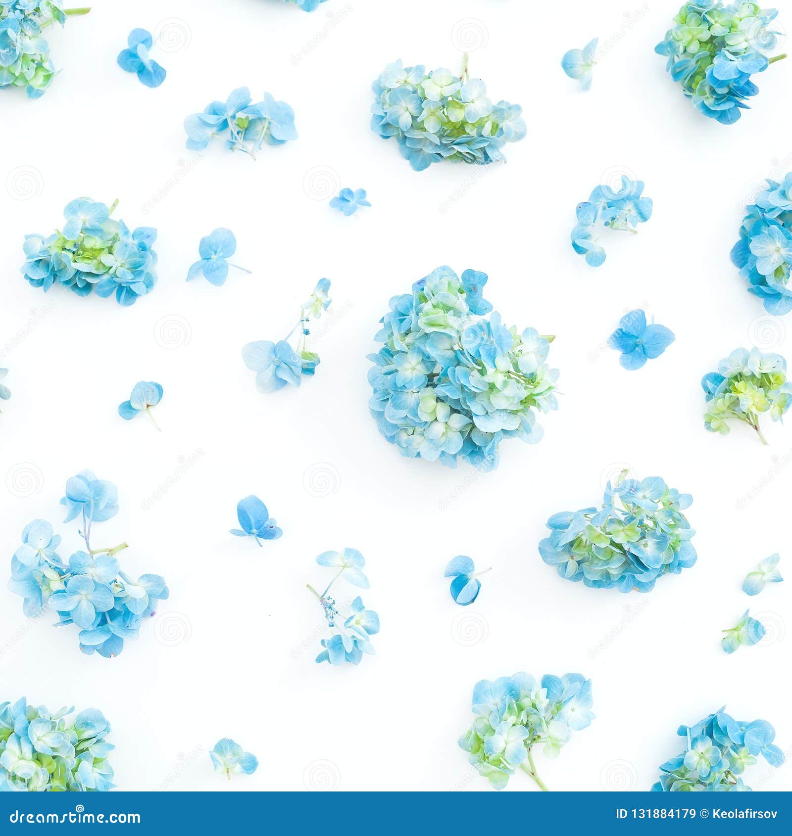 Floral Pattern with Blue Hydrangea Flowers on White Background. Flat ...