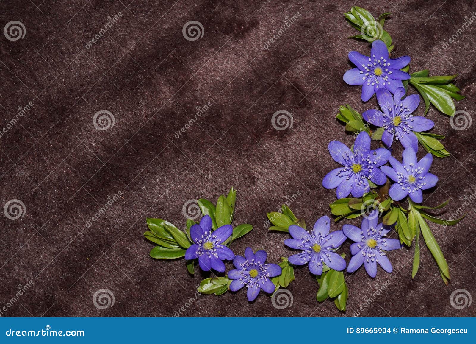 Corner Flowers Arrangement Stock Photography | CartoonDealer.com #103169912