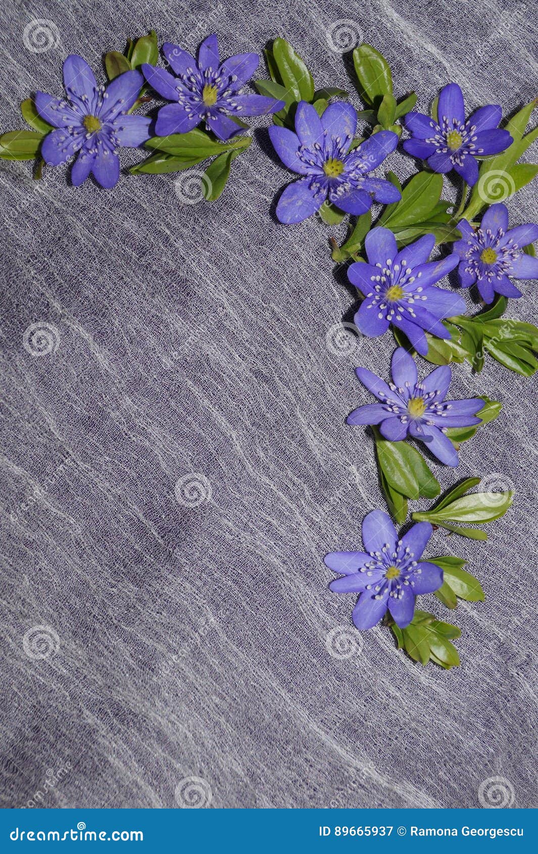 Corner Flowers Arrangement Stock Photography | CartoonDealer.com #103169912