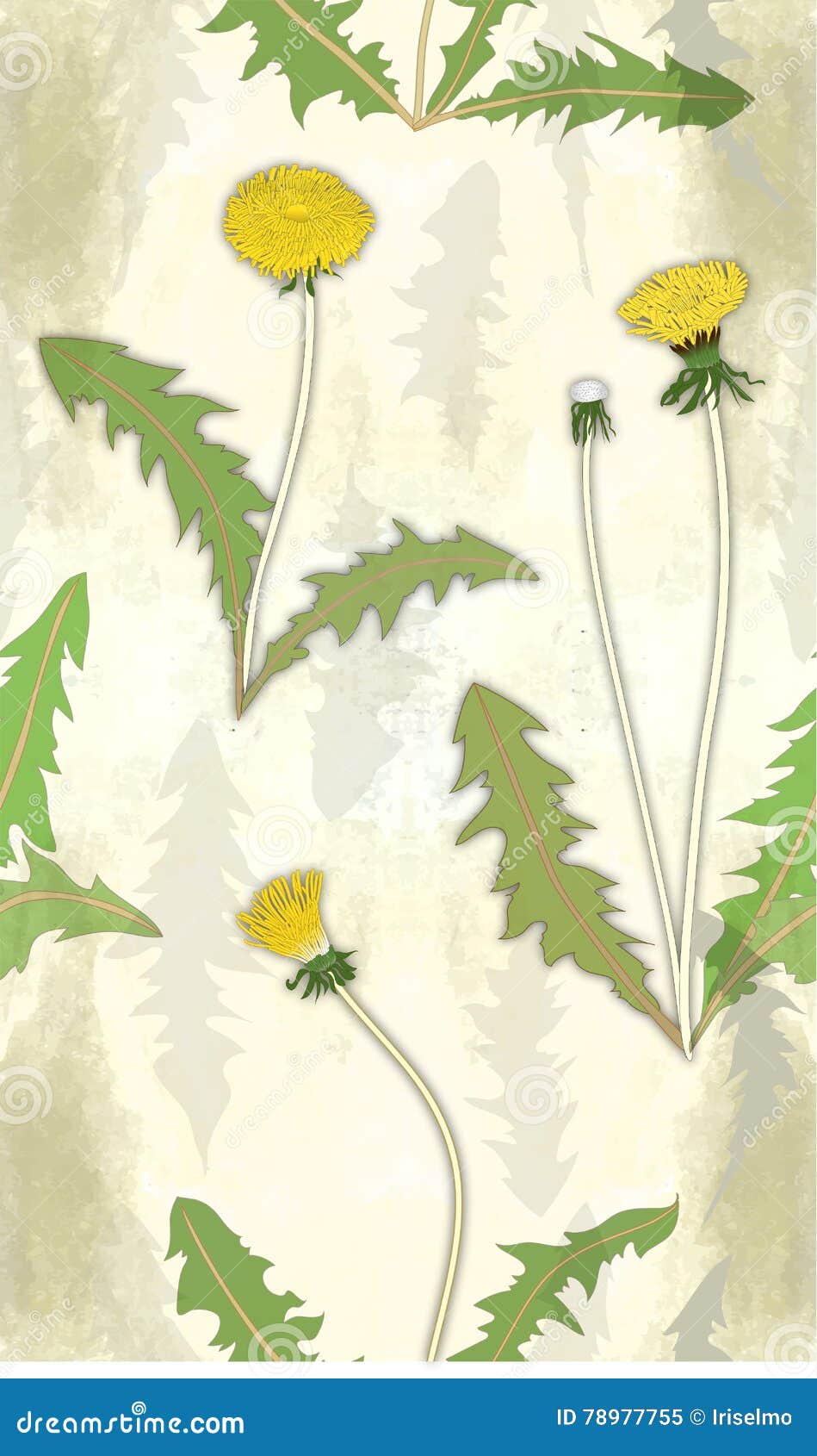 Floral Pattern with Dandelions Stock Illustration - Illustration of ...