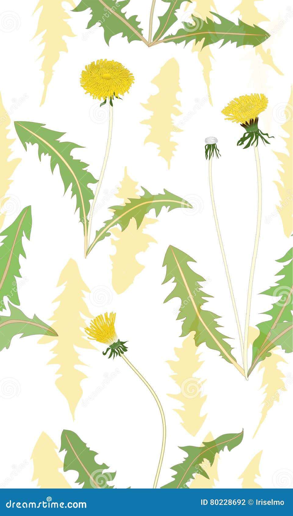Floral Pattern with Dandelions Stock Vector - Illustration of floral ...