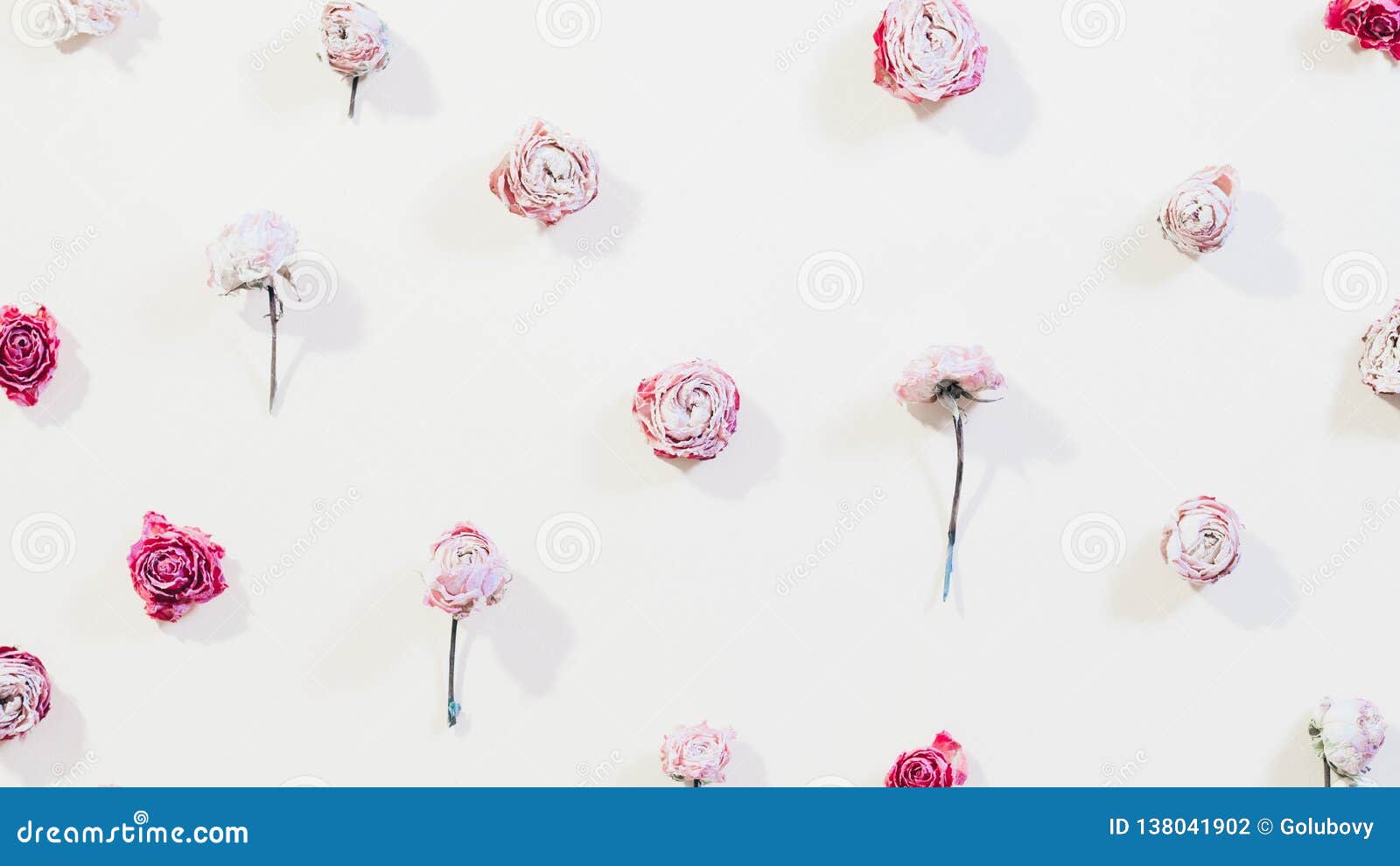 Floral Pattern Design Flower Composition Rose Head Stock Photo - Image ...
