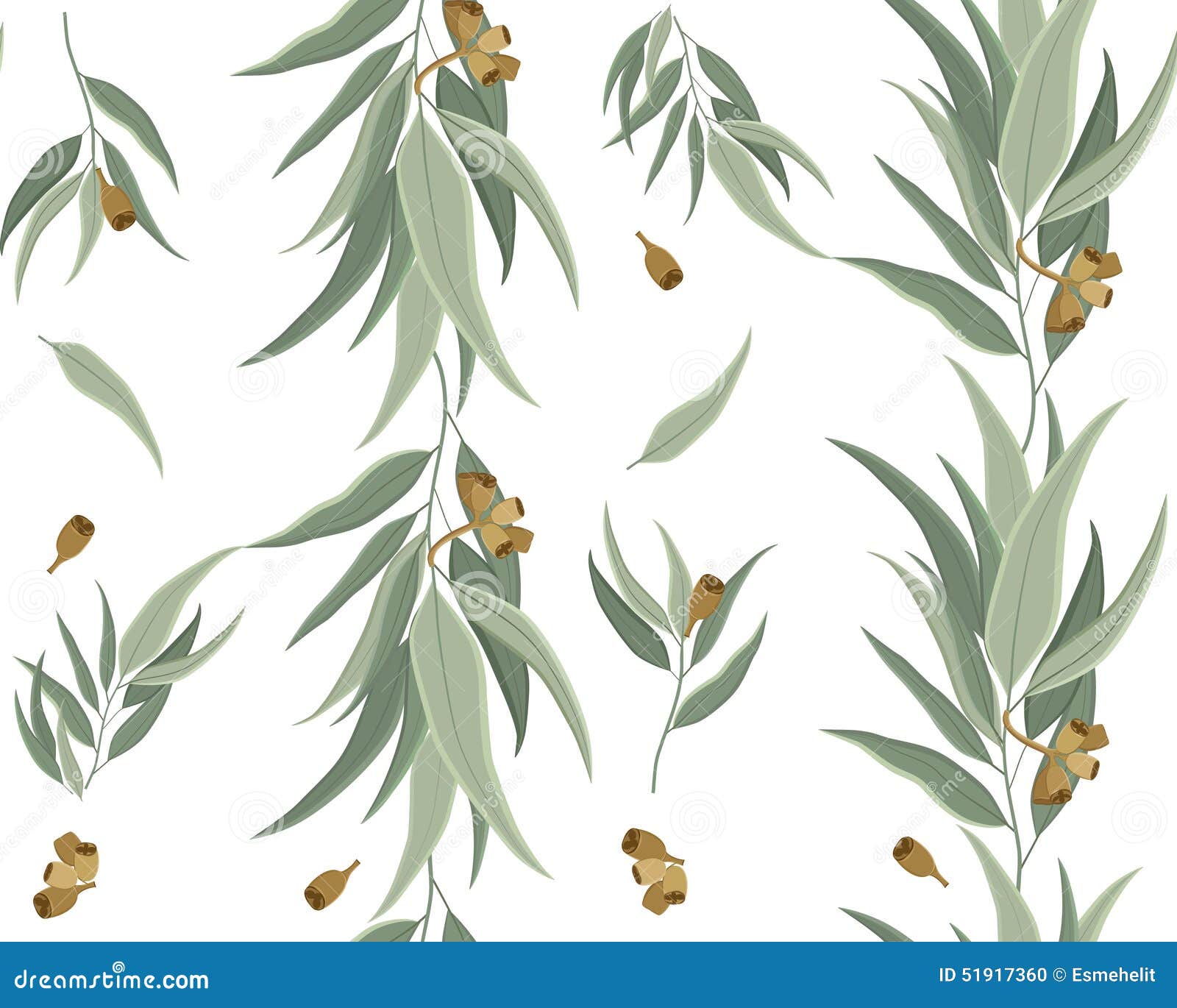 Floral Pattern of Eucalyptus Leaves and Seeds Stock Vector ...