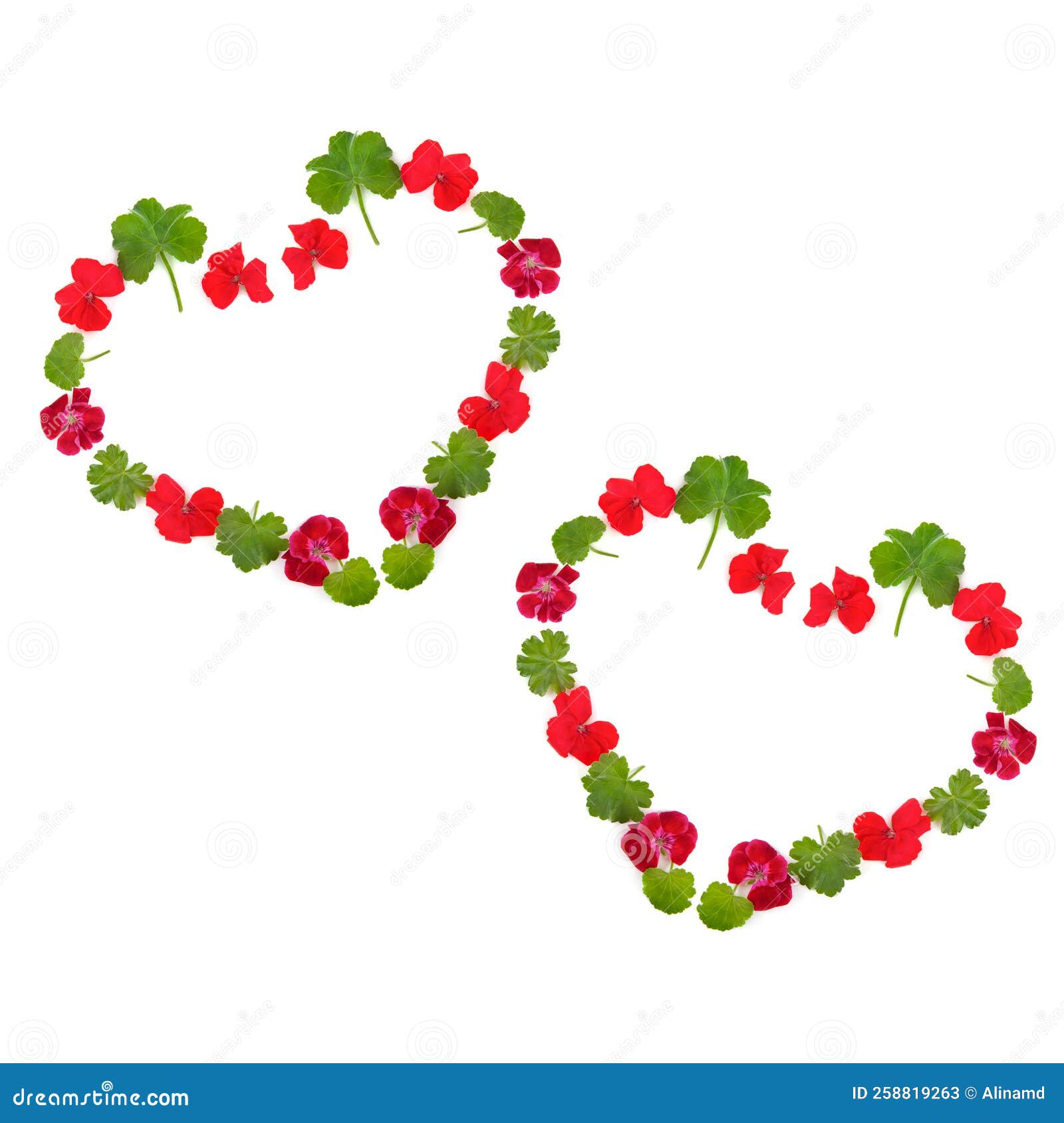 Floral Pattern of Geranium Flowers and Leaves in a Heart Shape Isolated ...