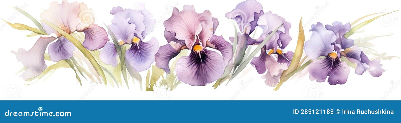 Floral Pattern with Iris for Web Design, Watercolor. Illustration ...
