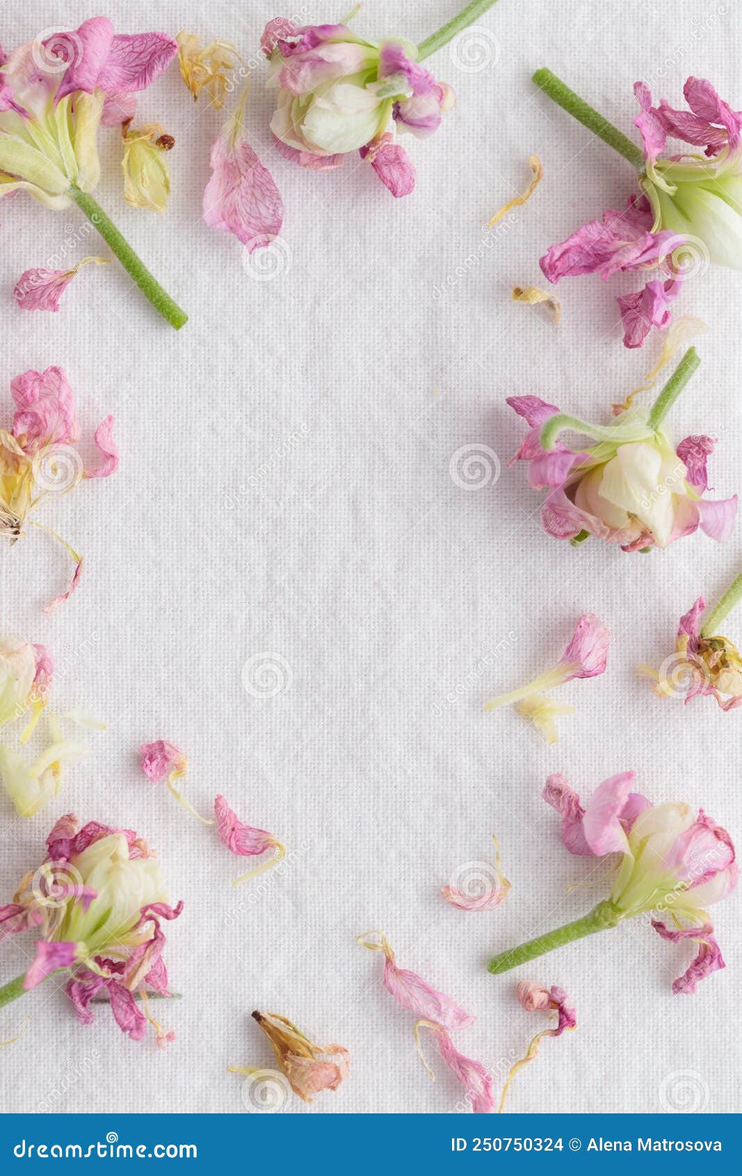Floral Pattern Made of Pinkflowers on White Background. Flowers Pattern ...