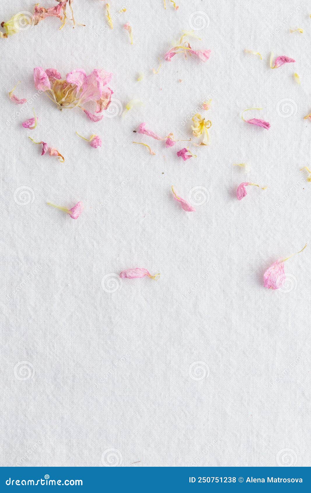 Floral Pattern Made of Pinkflowers on White Background. Flowers Pattern ...
