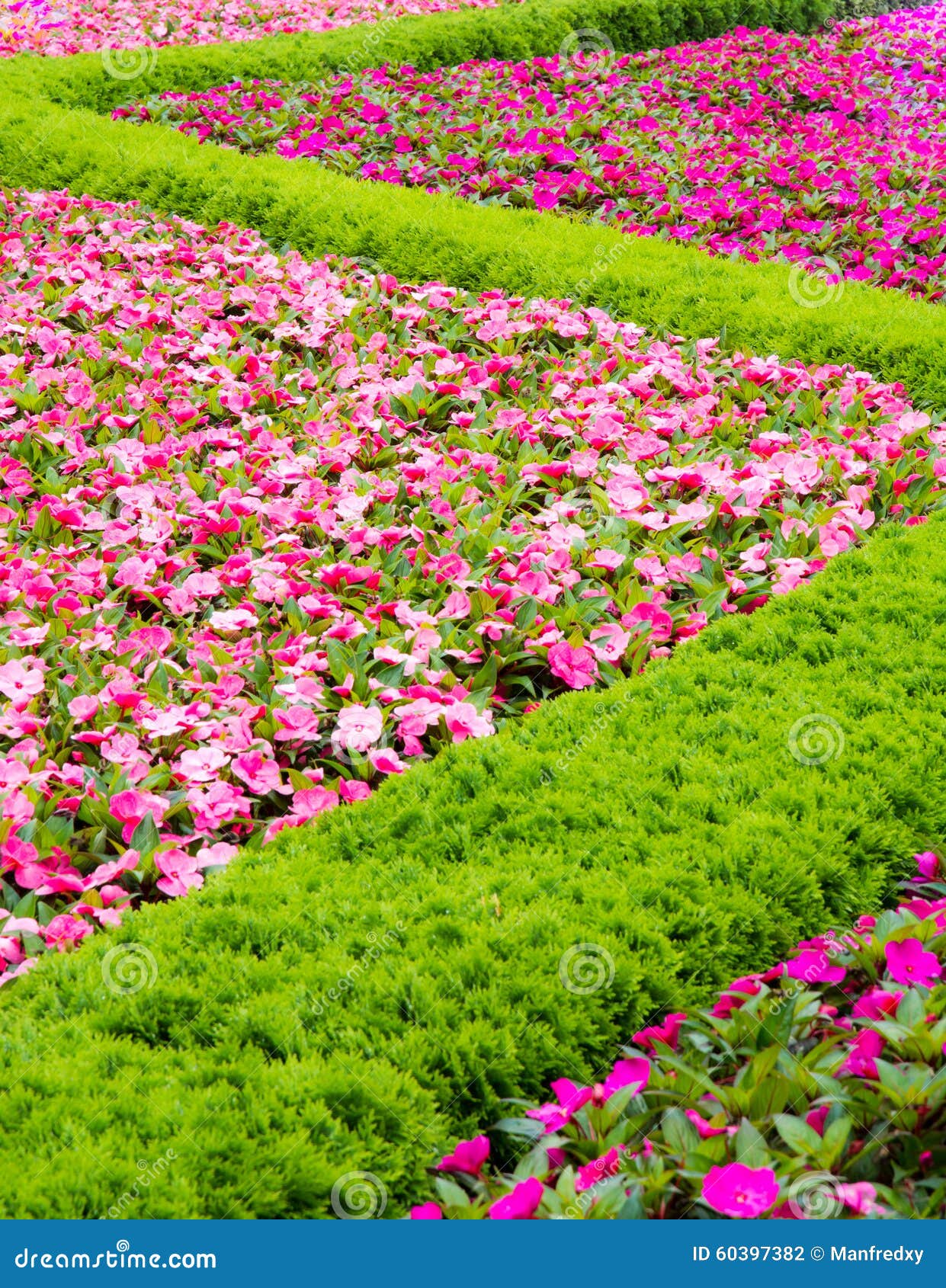 Floral pattern in a park stock photo. Image of lieschen - 60397382