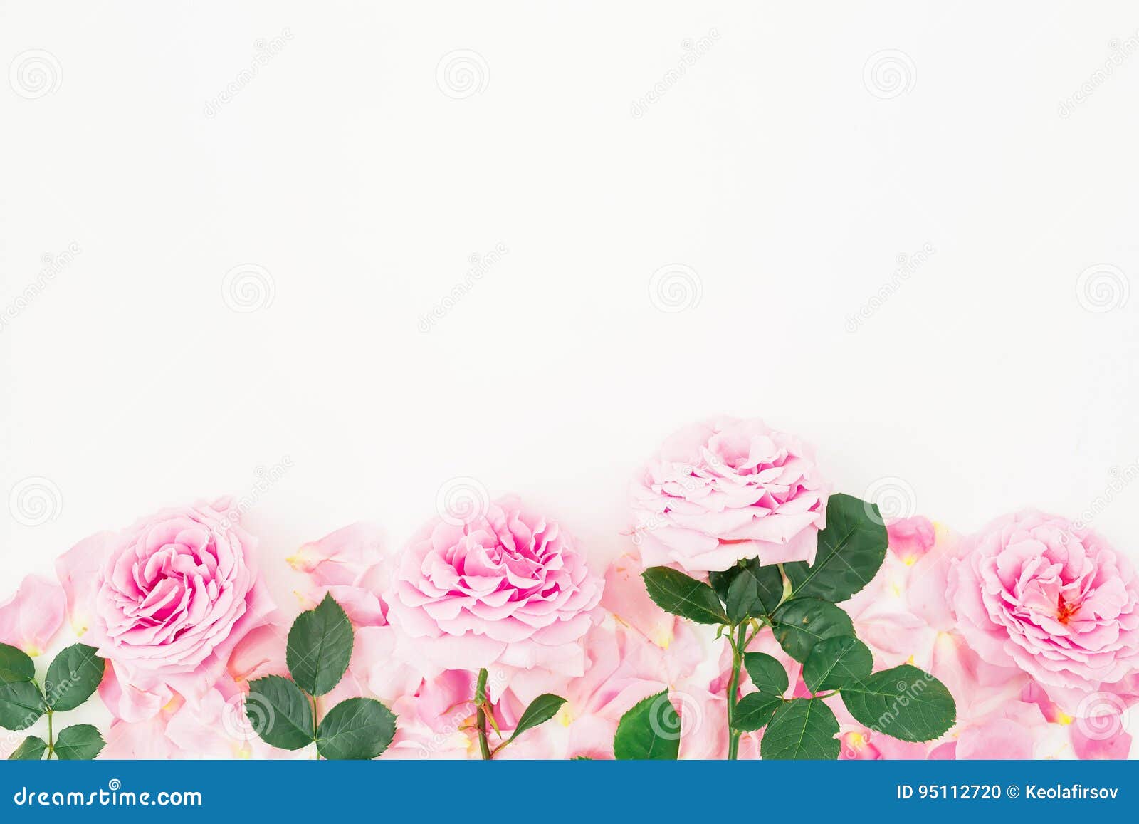 Floral Pattern of Pink Rose, Leaves and Petals on White Background ...