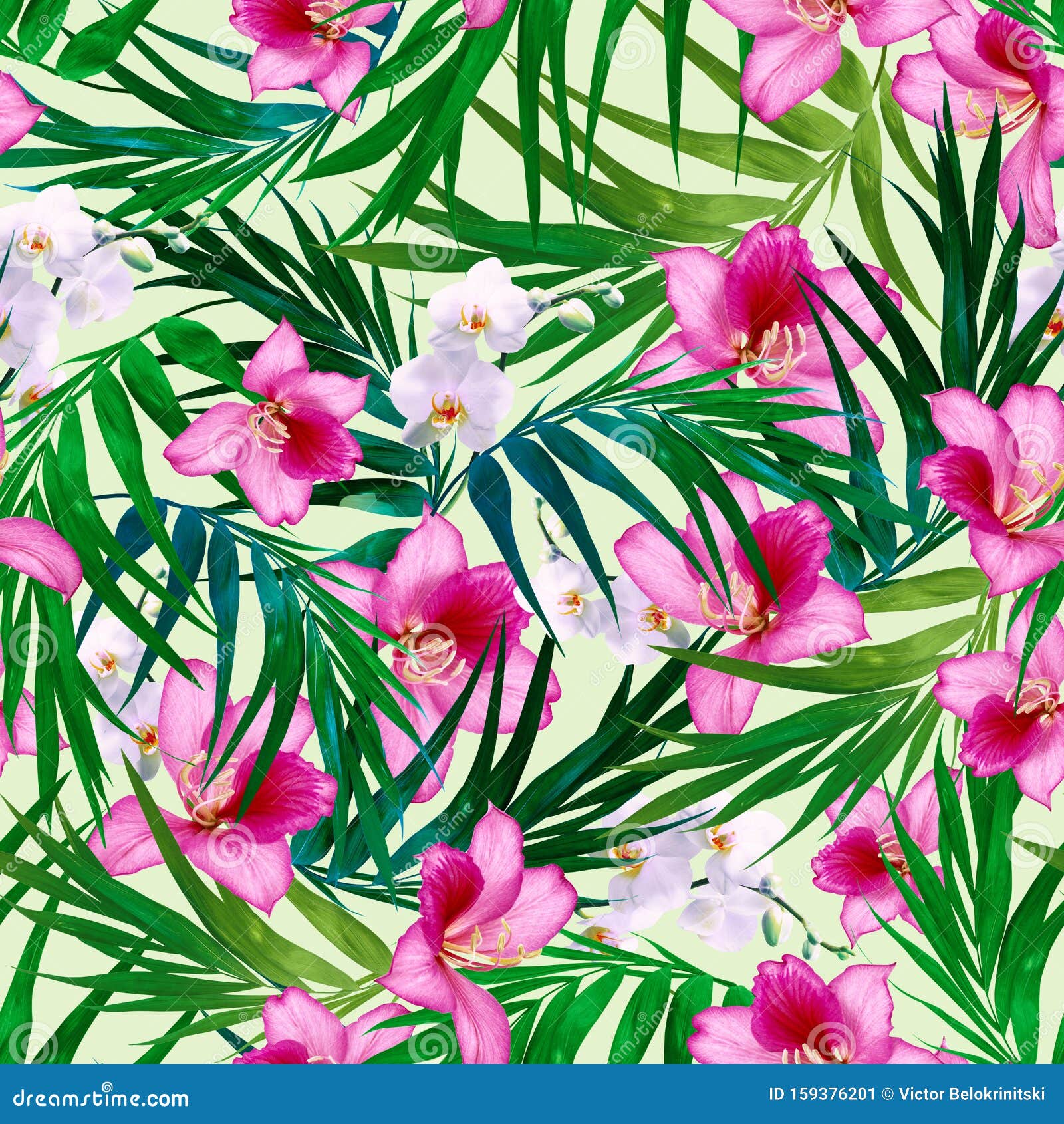 Photo Collage Floral Pattern, Seamless Design Stock Image - Image of ...