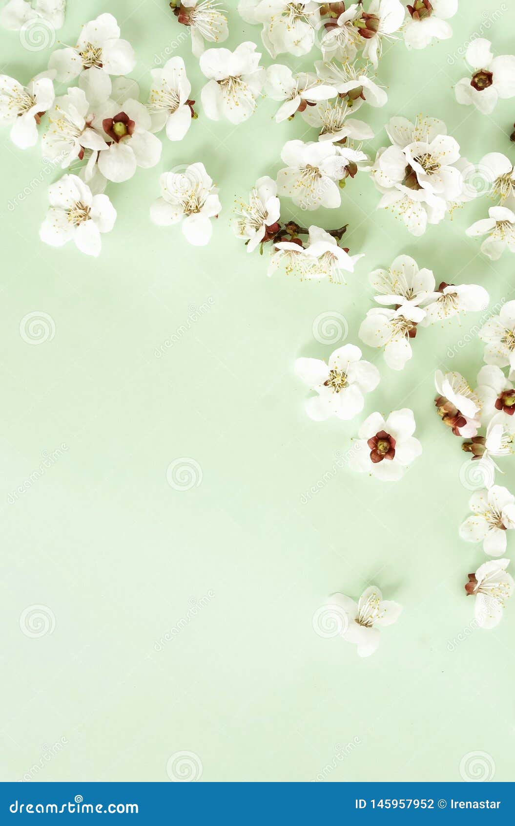 Floral Pattern of a Spring Flowers on a Pale Mint Background Stock ...