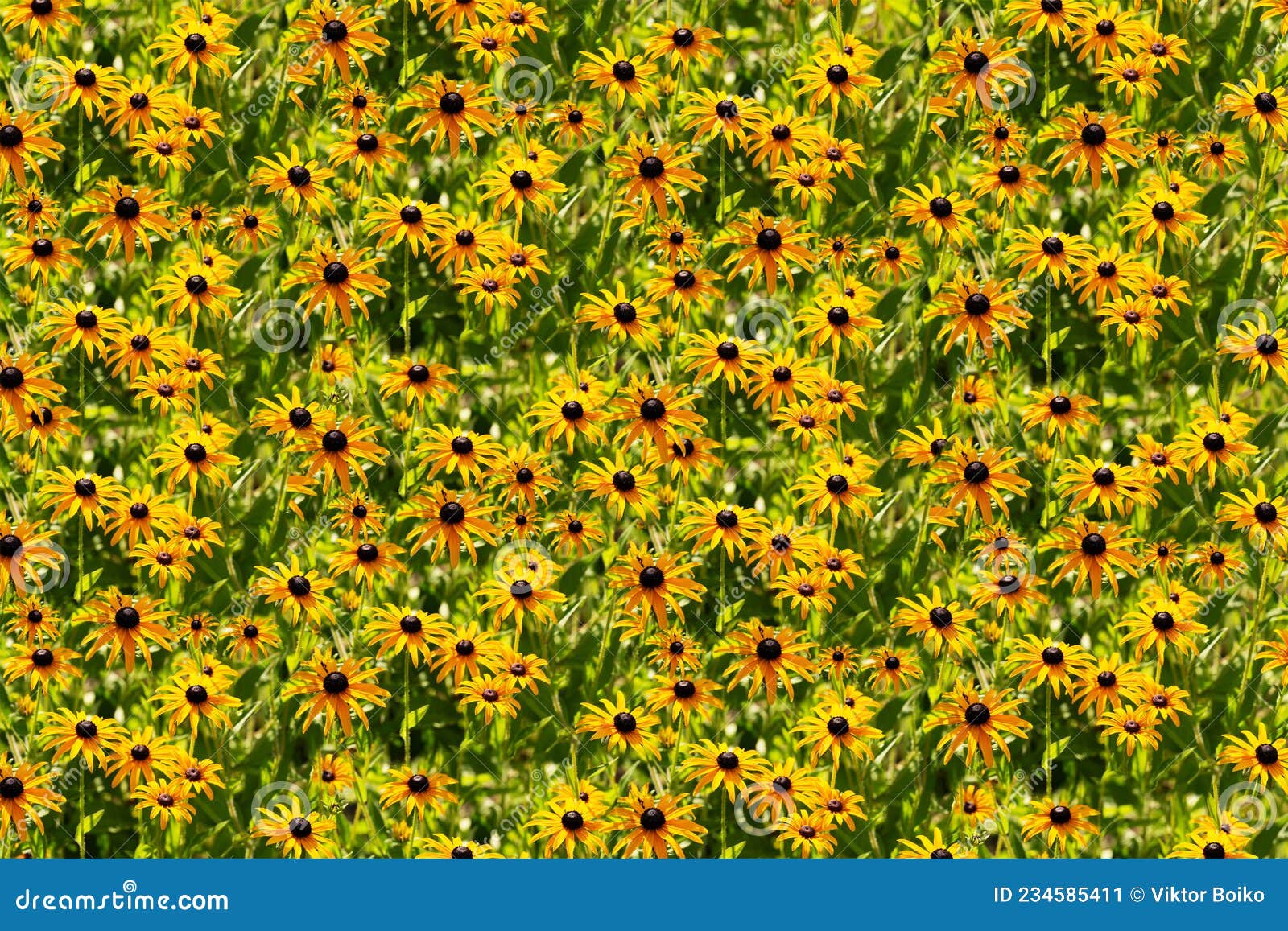 Floral Pattern of Yellow Decorative Flowers with Top View Stock Image ...