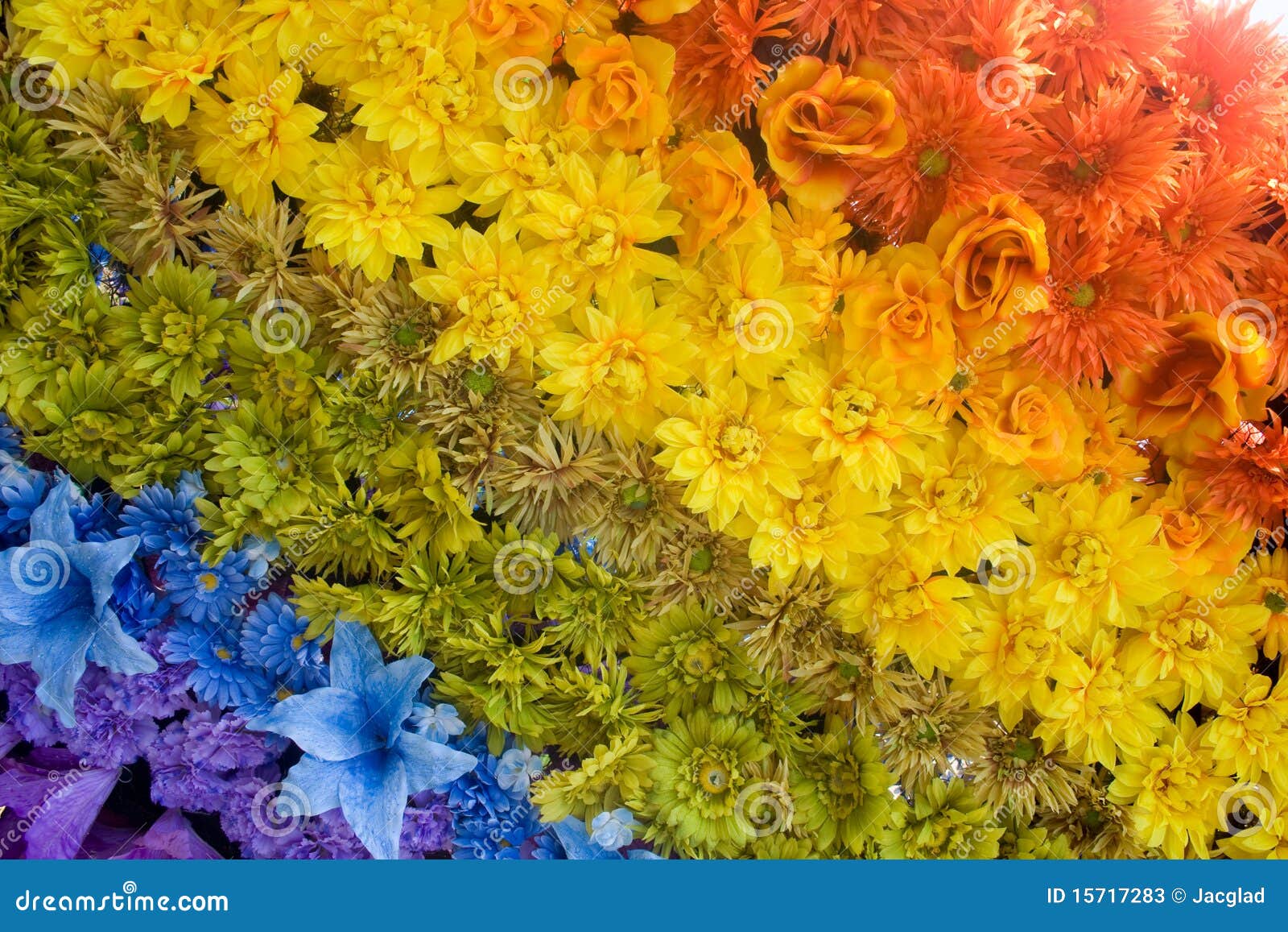 Floral rainbow stock image. Image of closeup, backdrop - 15717283