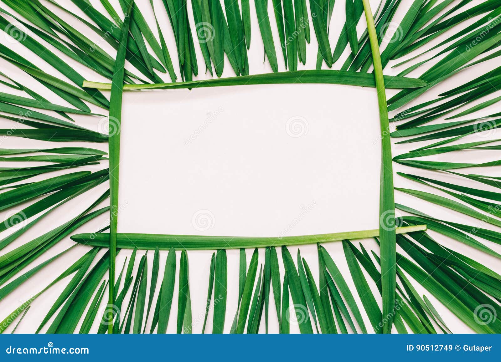 Floral Rectangular Frame of Green Leaves on a White Background with ...