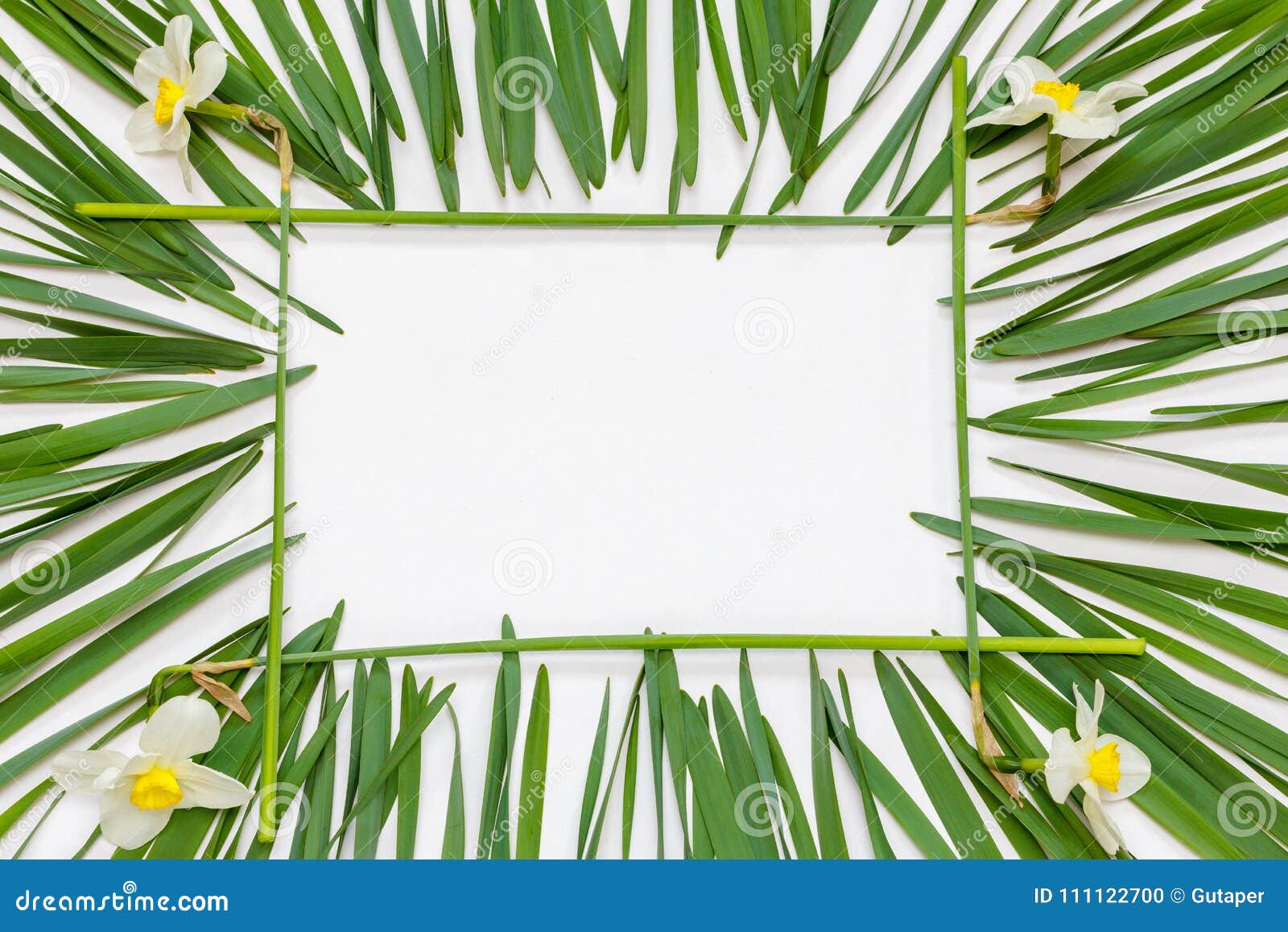 Floral Rectangular Frame of Yellow Flowers of Daffodils and Green ...
