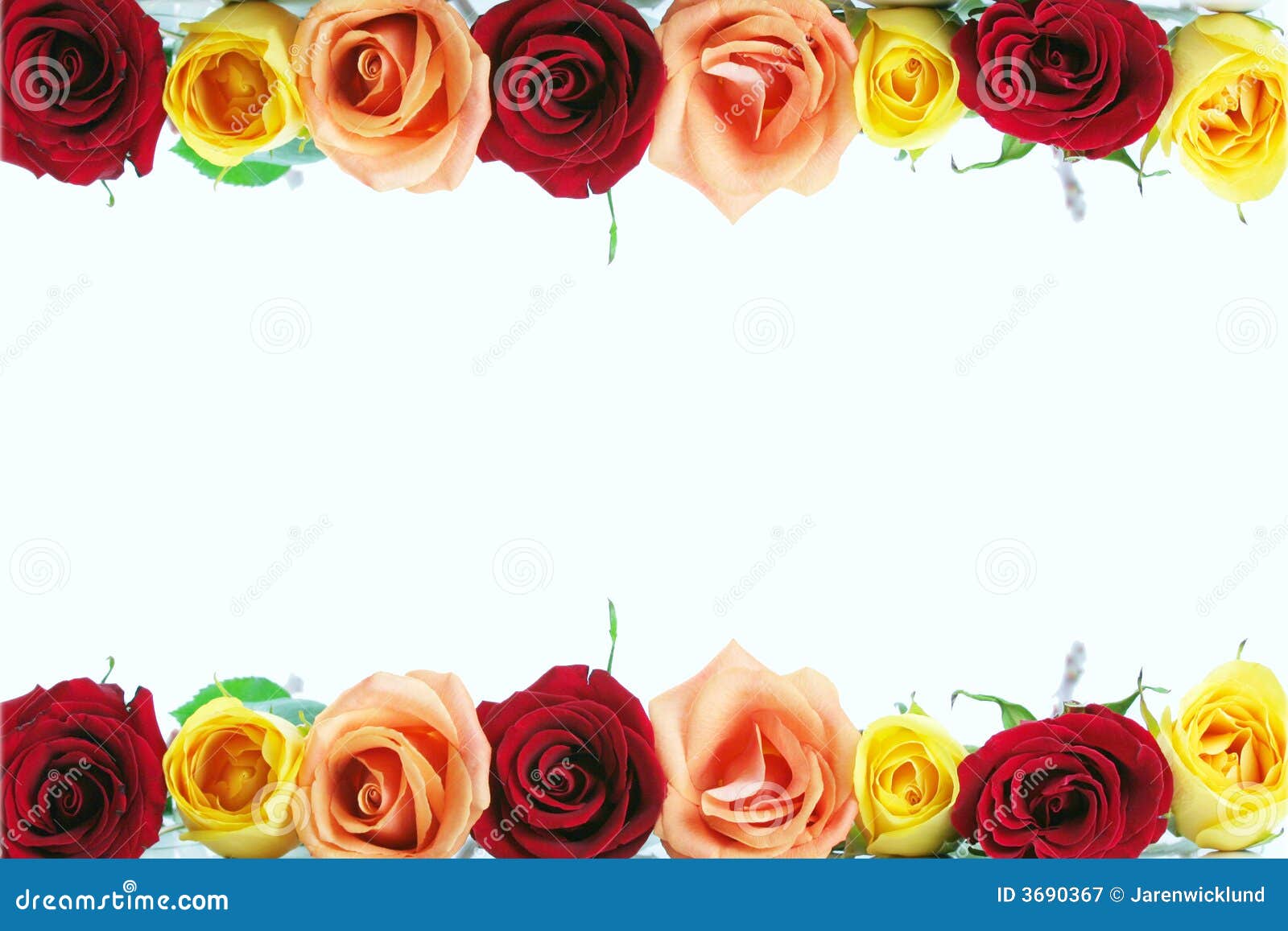 Floral rose border stock image. Image of border, decoration - 3690367