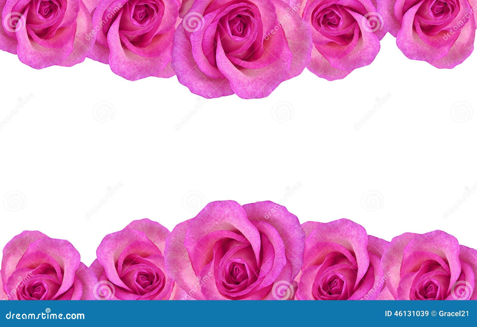 Floral rose border stock image. Image of backdrop, design - 46131039