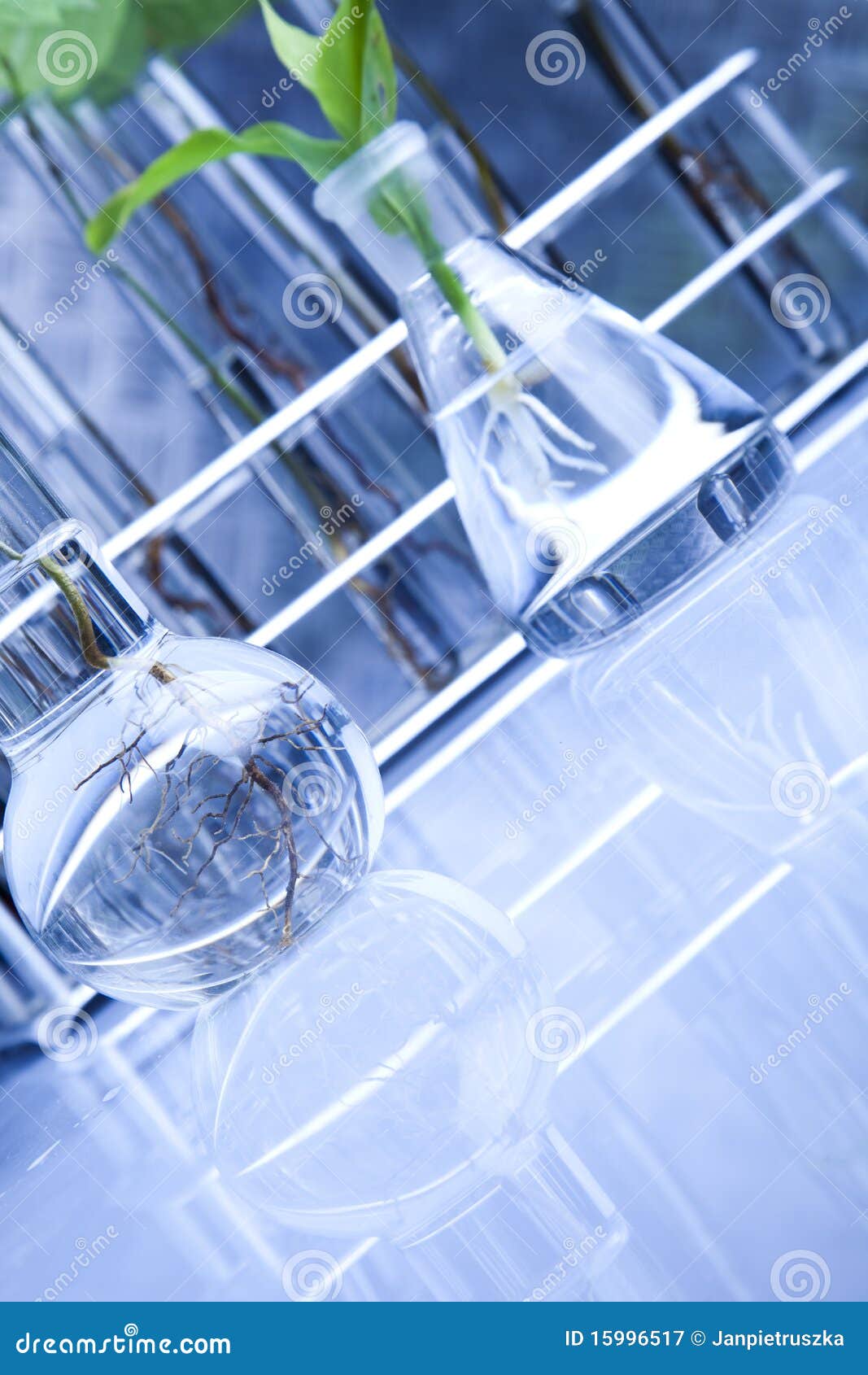 Floral Science in Blue Laboratory Stock Image - Image of biochemistry ...