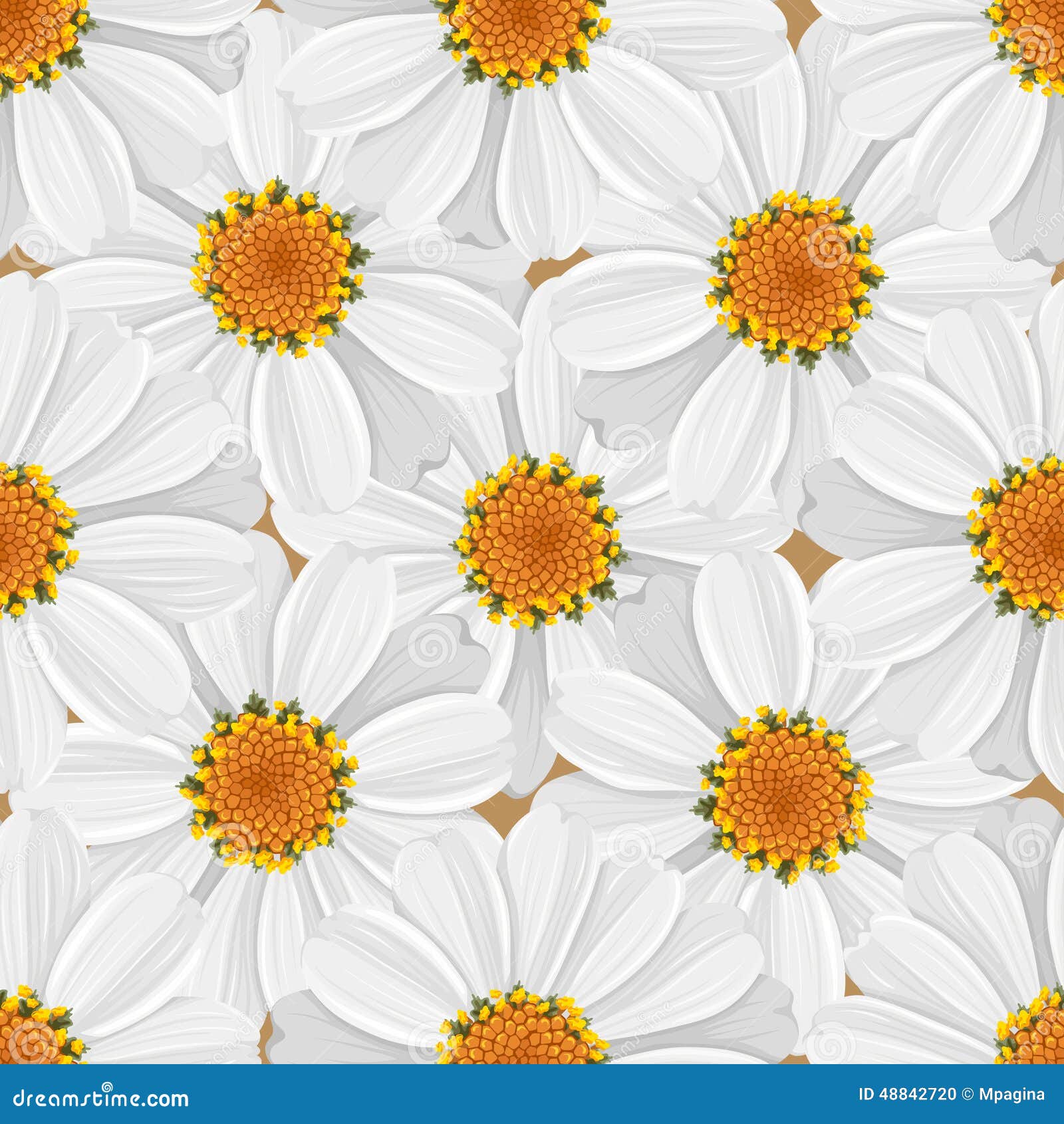 Floral Seamless Pattern - Daisy Stock Vector - Illustration of flower ...