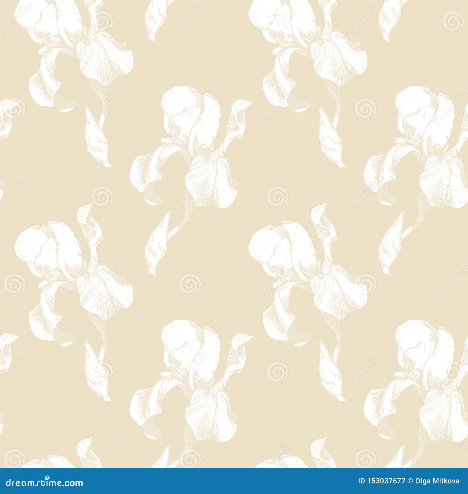 Floral Seamless Pattern with Hand Drawn White Ink Iris Flowers on Beige ...