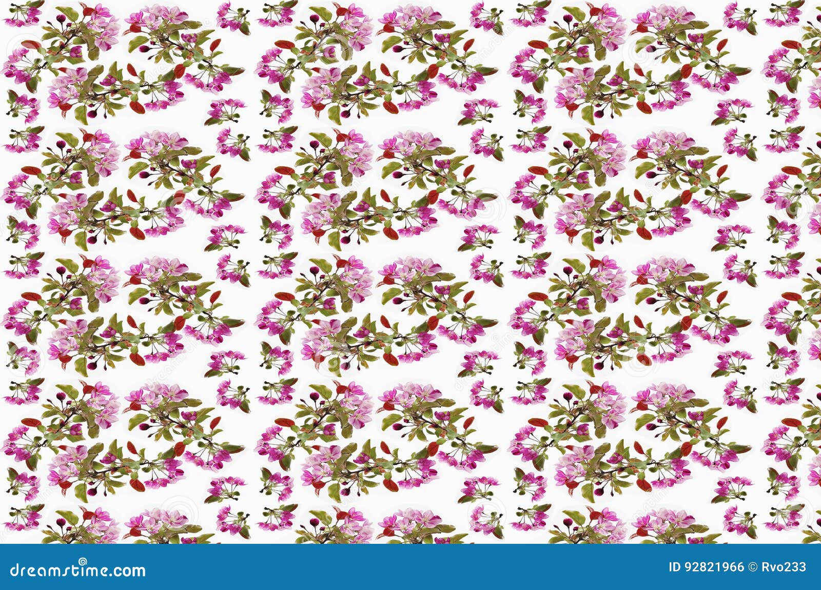 Floral Seamless Pattern - Spring Background Stock Illustration ...
