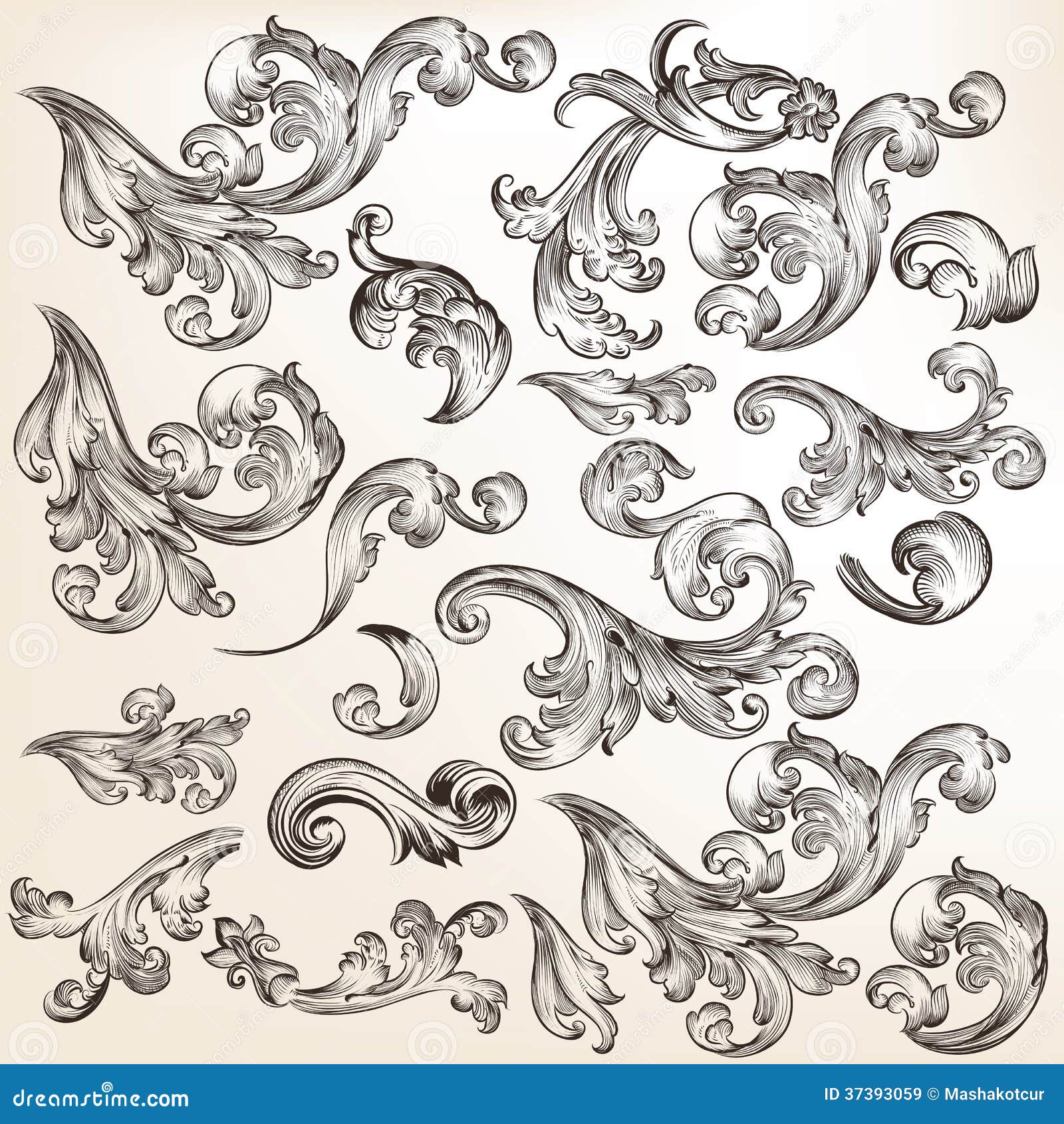 Floral Set of Decorative Swirl Elements in Vintage Style Stock Vector ...