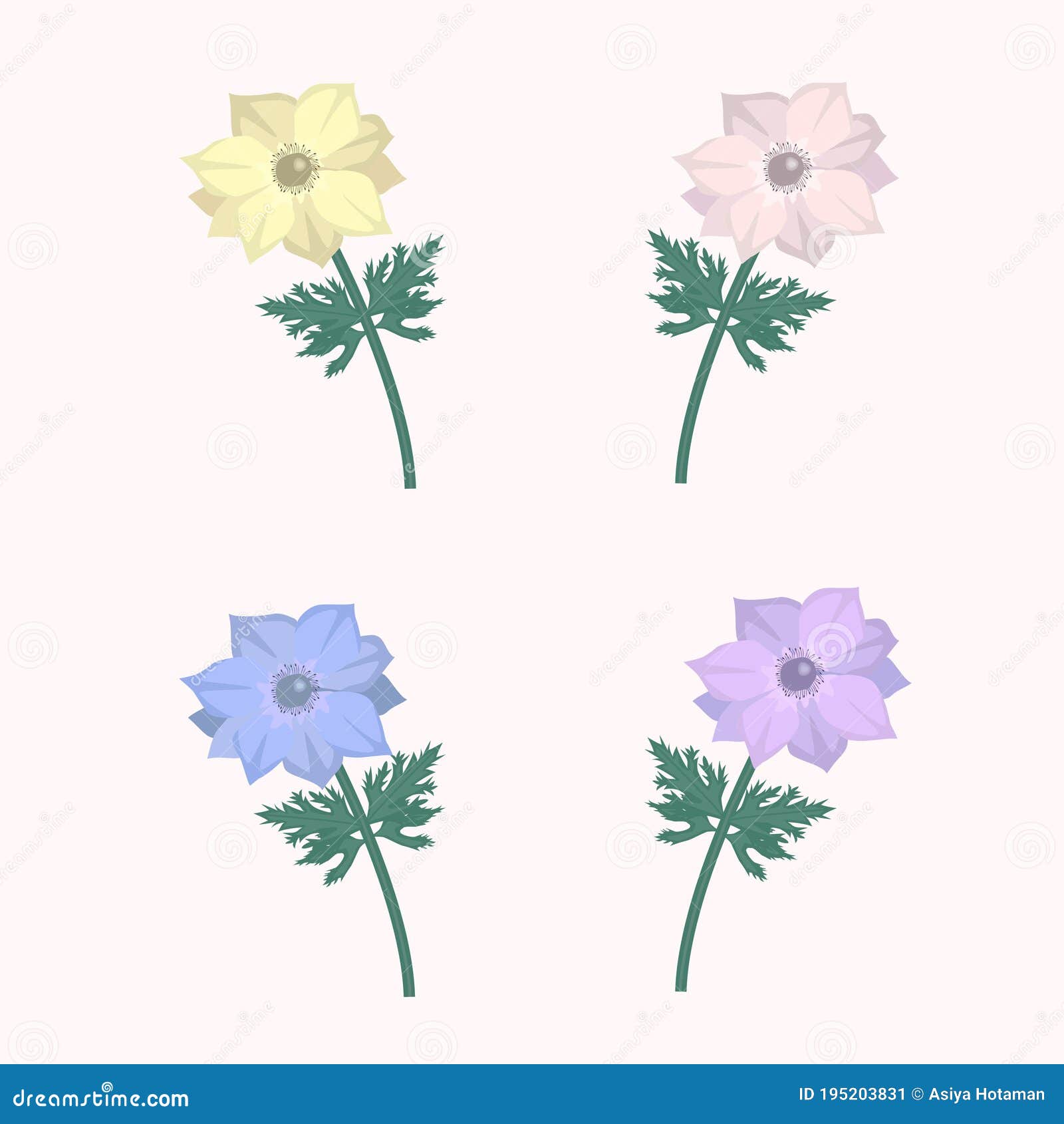 Floral Set with Different Color Anemone Flowers Stock Illustration ...