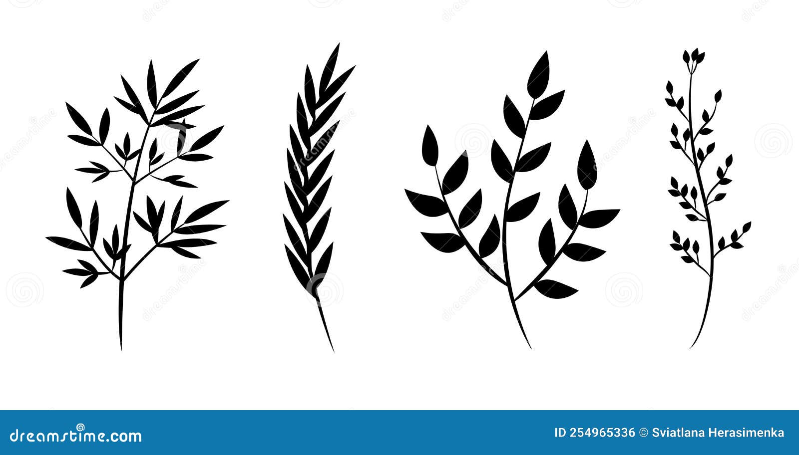 Floral Set of Hand Drawn Botanic Elements. Vector Stock Illustration ...