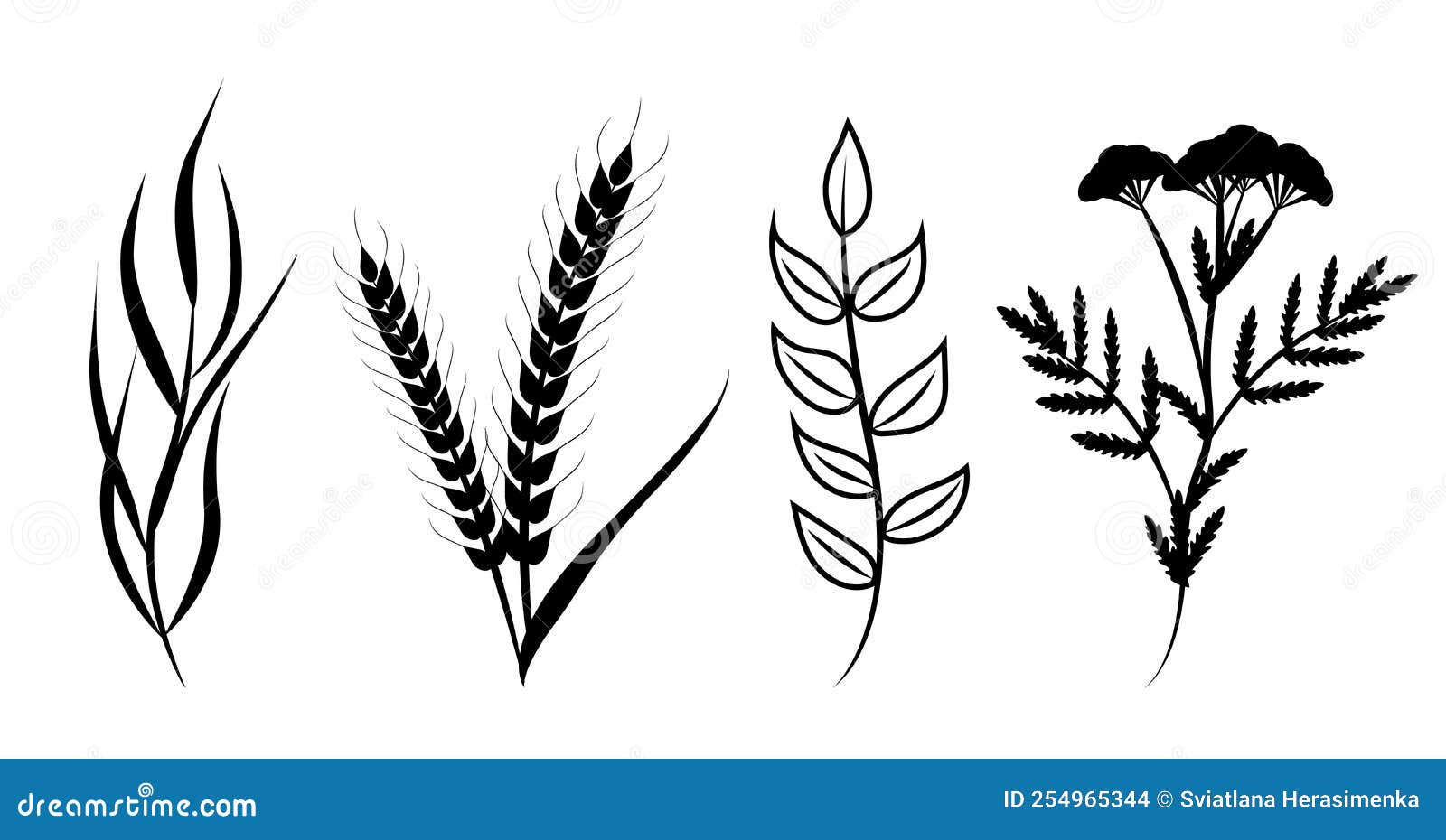 Floral Set of Hand Drawn Botanic Elements. Vector Stock Vector ...