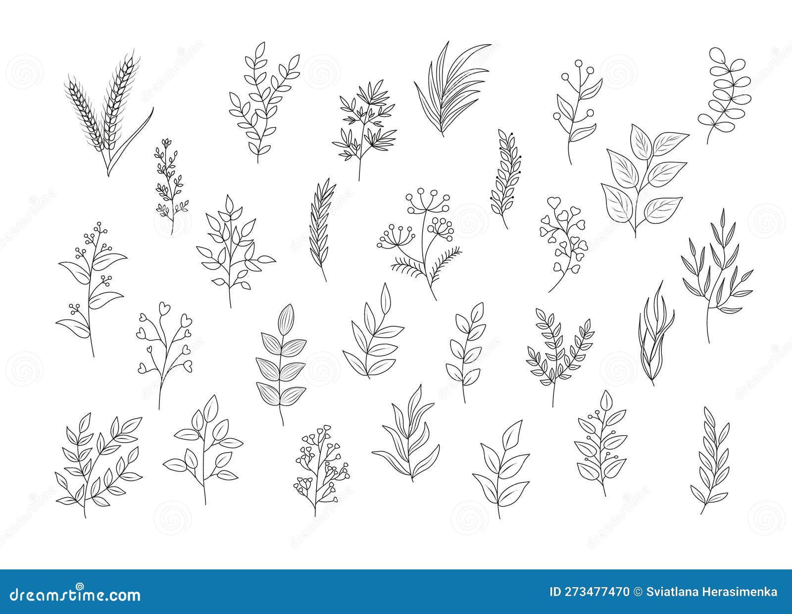 Floral Set of Hand Drawn Botanic Elements. Vector Stock Vector ...