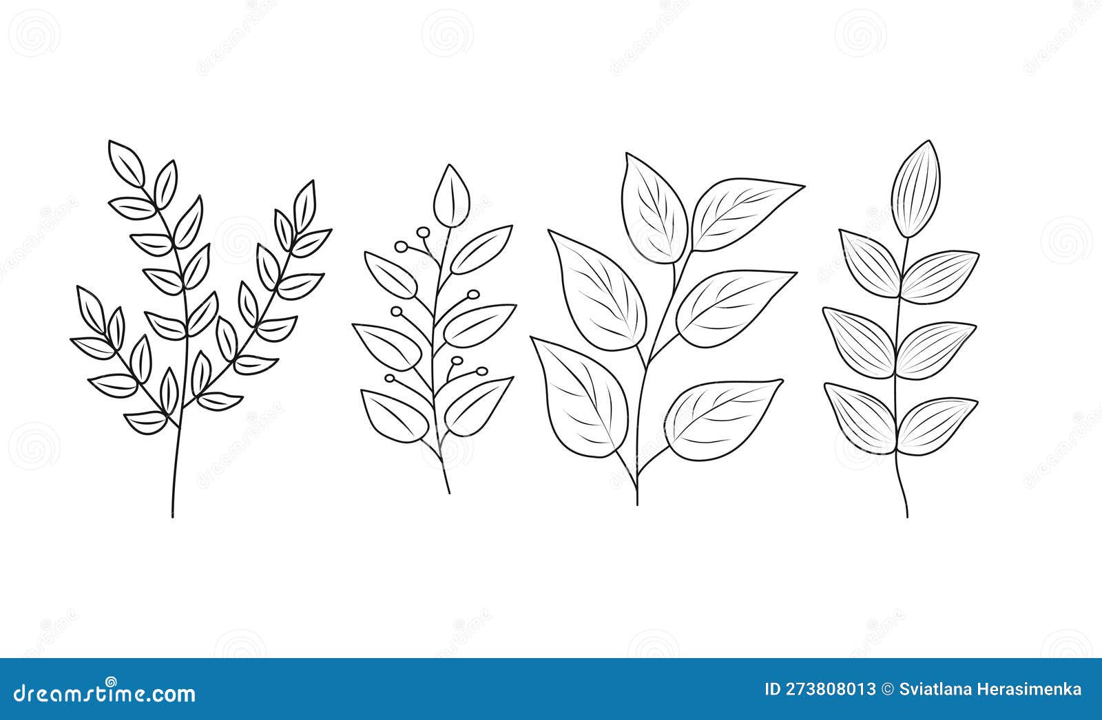 Floral Set of Hand Drawn Botanic Elements. Vector Illustration. Stock ...