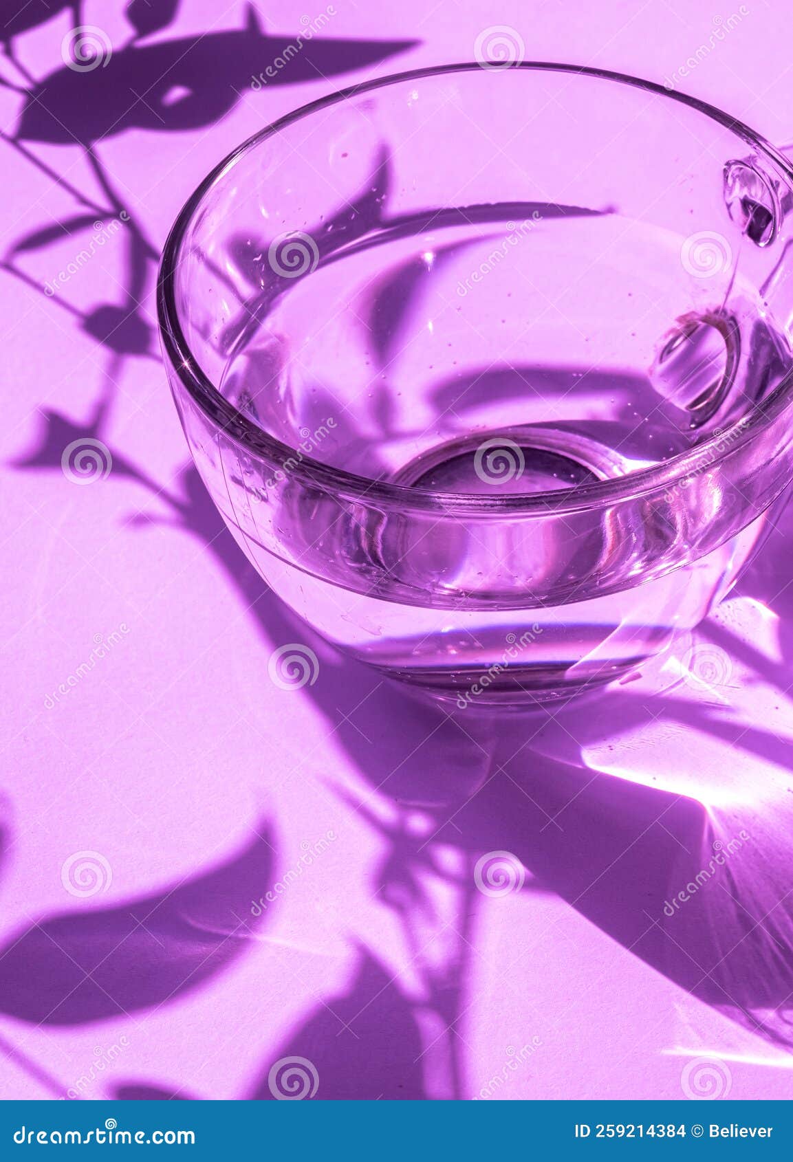 Floral Shadow Pattern on White Background and Glass Cup with Water ...