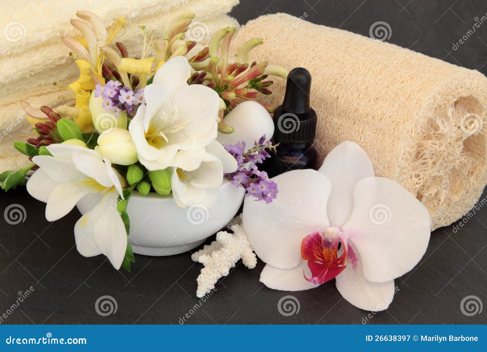 Floral Spa Treatment stock image. Image of floral, naturopathy - 26638397