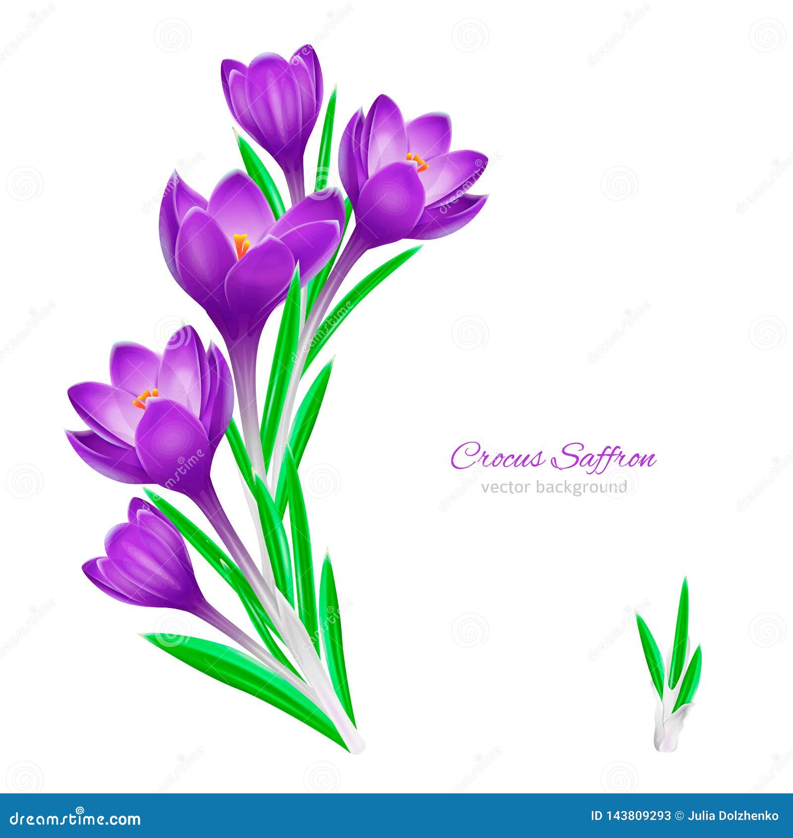 Floral Spring Background for Design on White Background Stock Vector ...