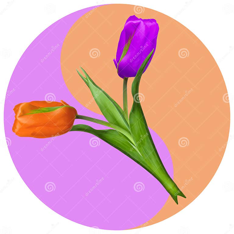 Floral Symbol Yin-Yang. Tulip. Geometric Pattern of Yin-Yang Symbol ... Floral Symbol Yin-Yang. Tulip. Geometric Pattern of Yin-Yang Symbol ...