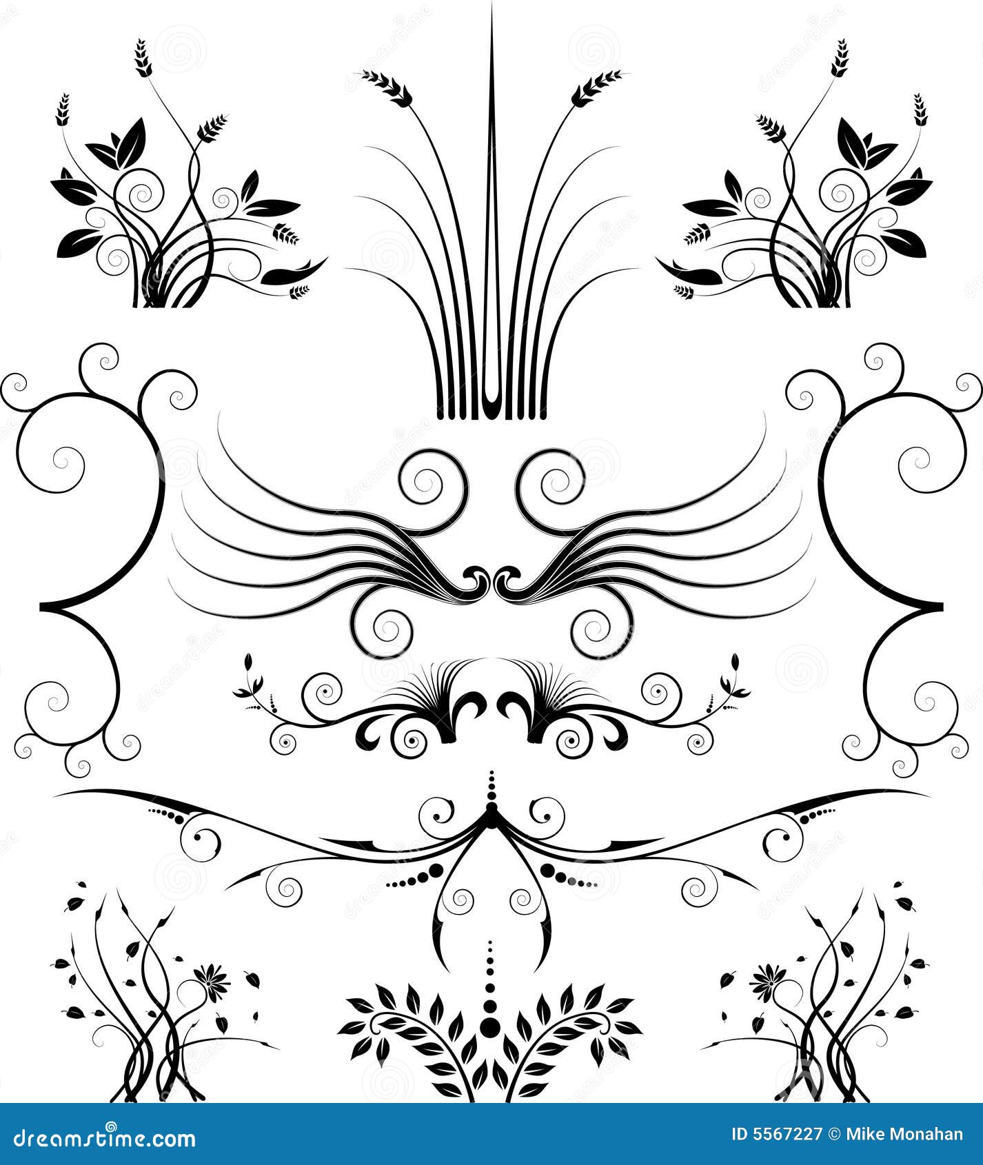 Floral Symmetry stock vector. Illustration of pattern - 5567227