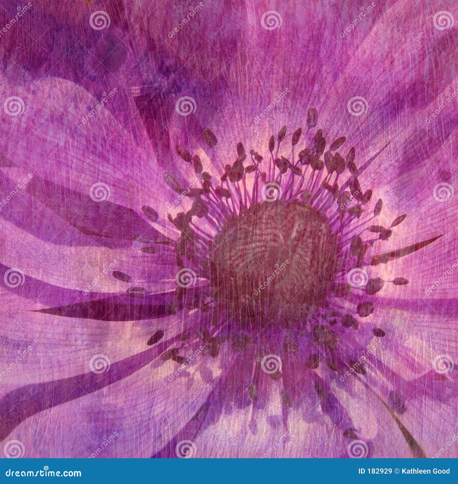 Floral texture - lilac stock image. Image of background - 182929