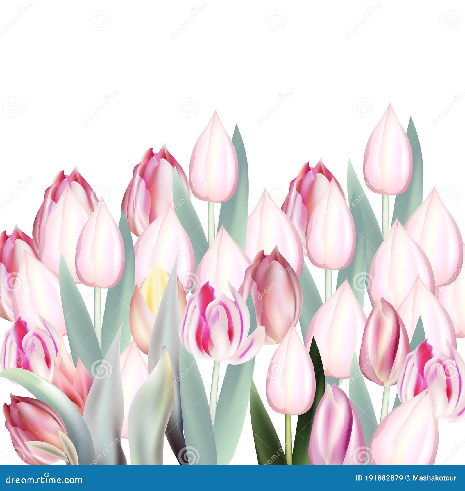 Floral Vector Illustration, Vector Pink Tulips on White Background ...