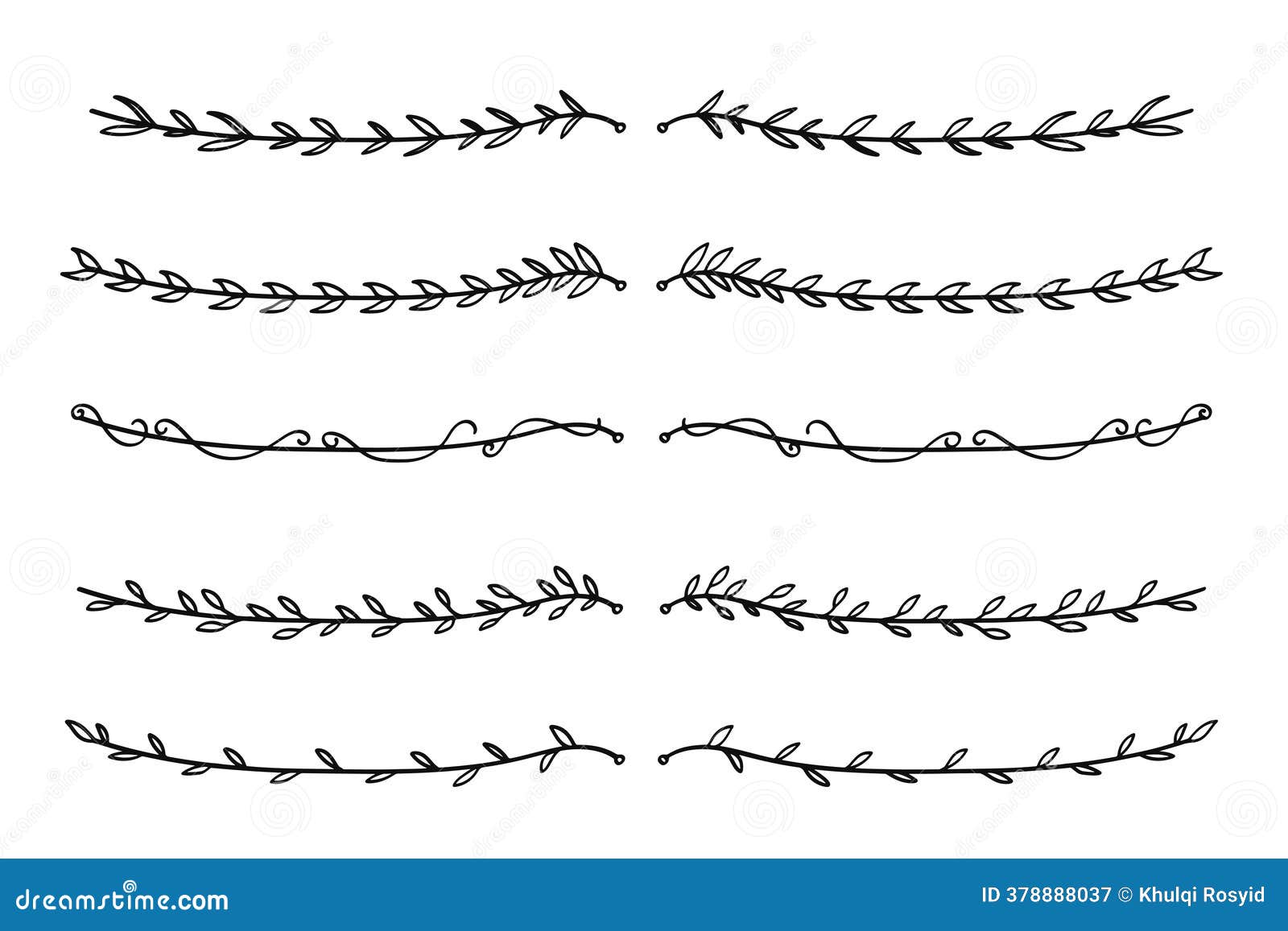 Floral Vine Line Divider For Text Layout Separator Decoration Cartoon ...