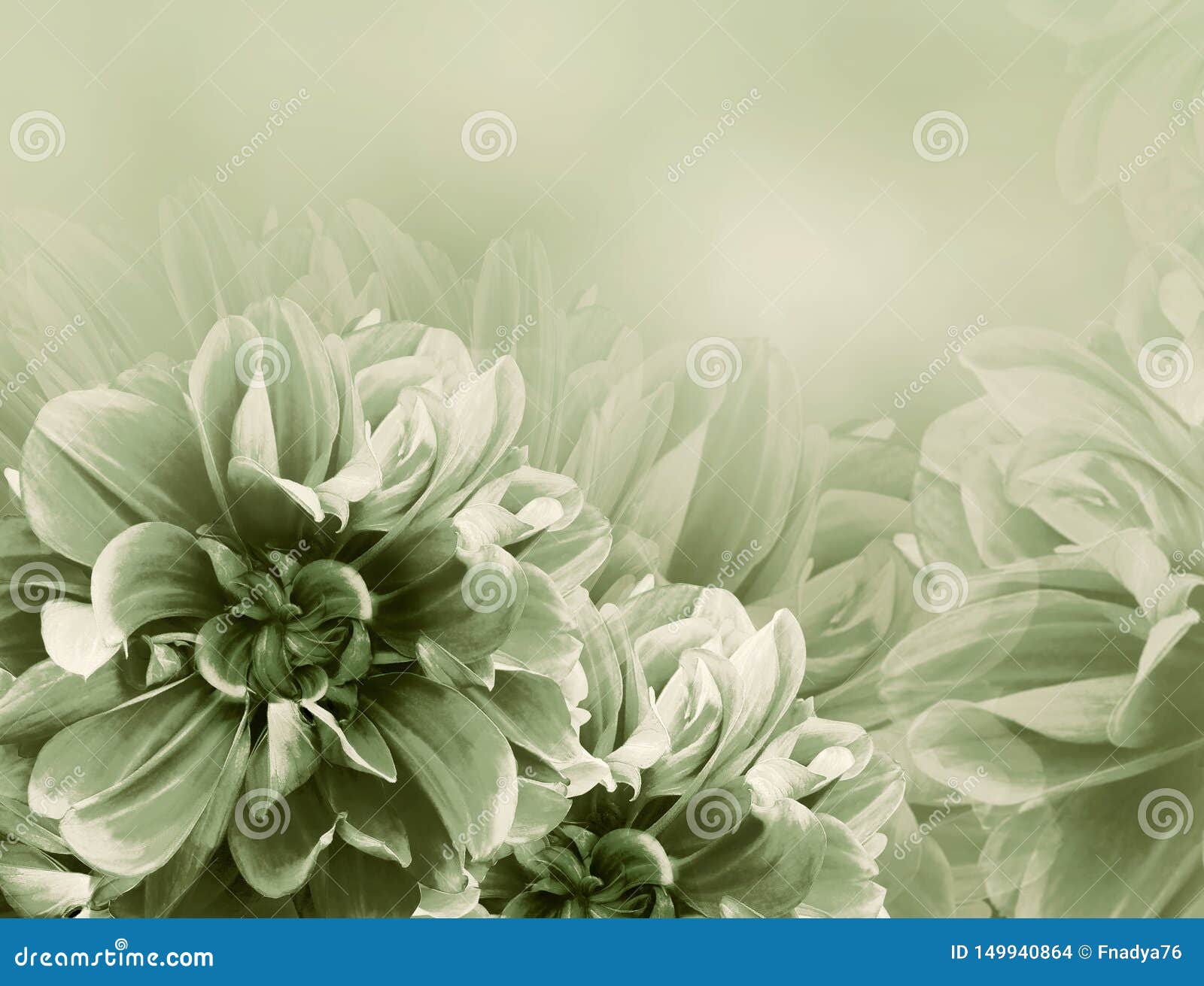 Floral Vintage Yellow-green Beautiful Background. Red Dahlias and ... Floral Vintage Yellow-green Beautiful Background. Red Dahlias and ...