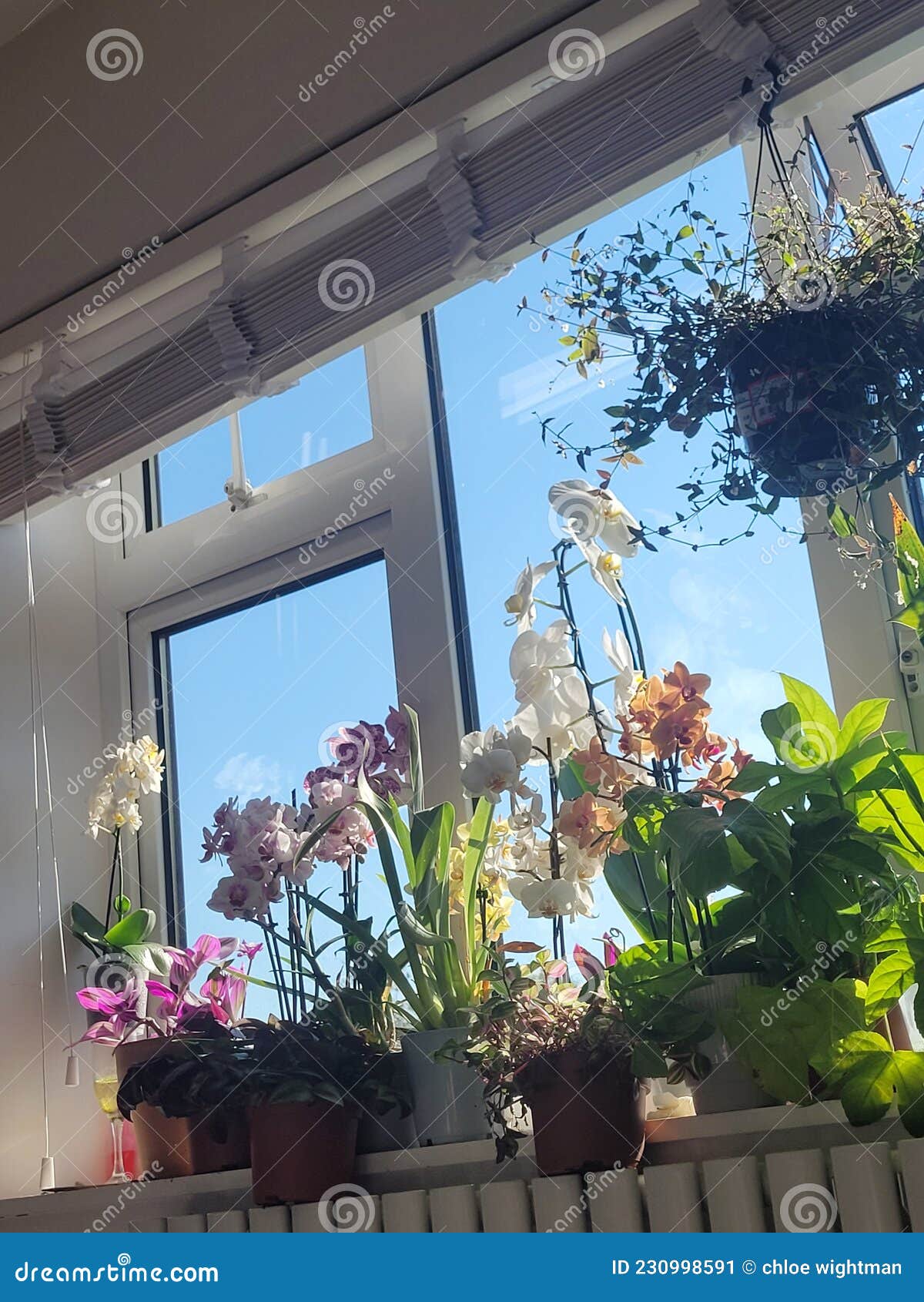 Floral Window Design, Aihole Royalty-Free Stock Photo | CartoonDealer ...