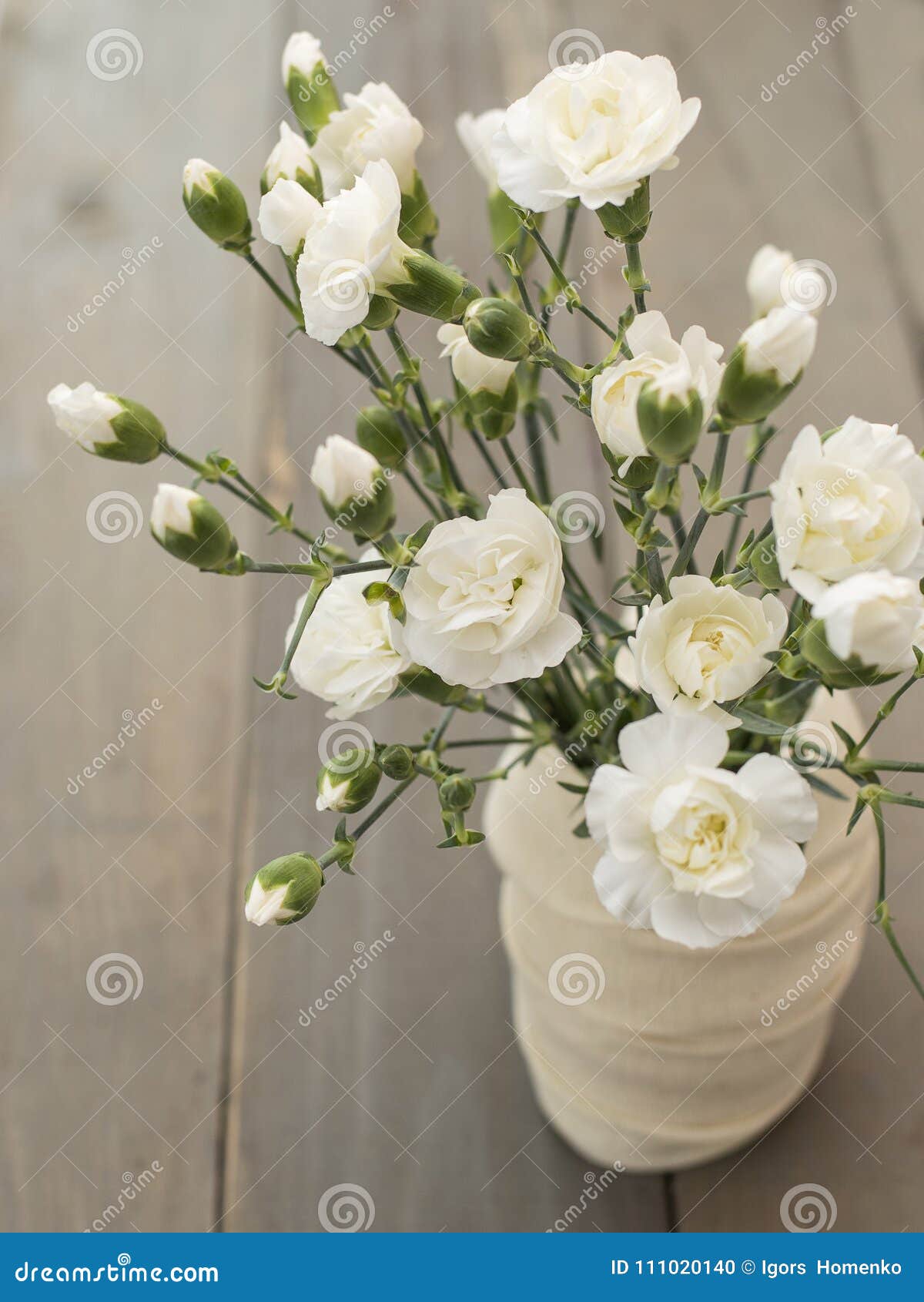 Florece Los Claveles Blancos En Una Tabla De Madera Foto de archivo ...