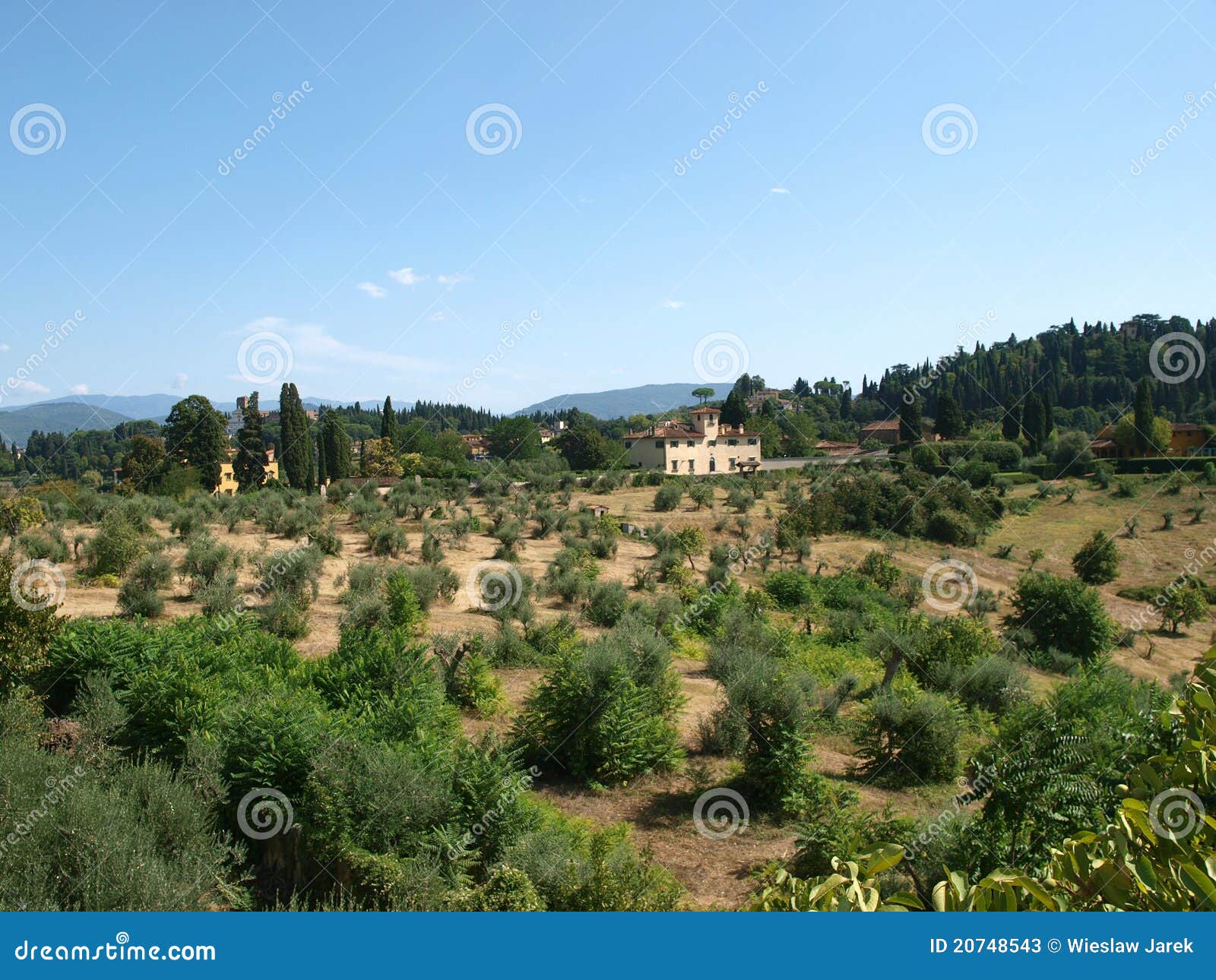 Florence stock image. Image of tuscany, nature, view - 20748543
