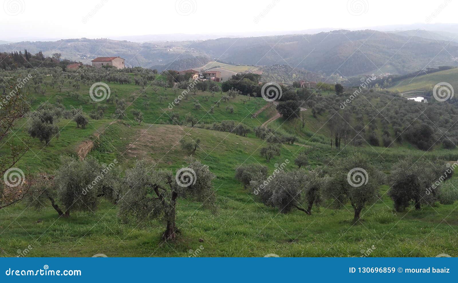 Florence city stock image. Image of florence, nature - 130696859