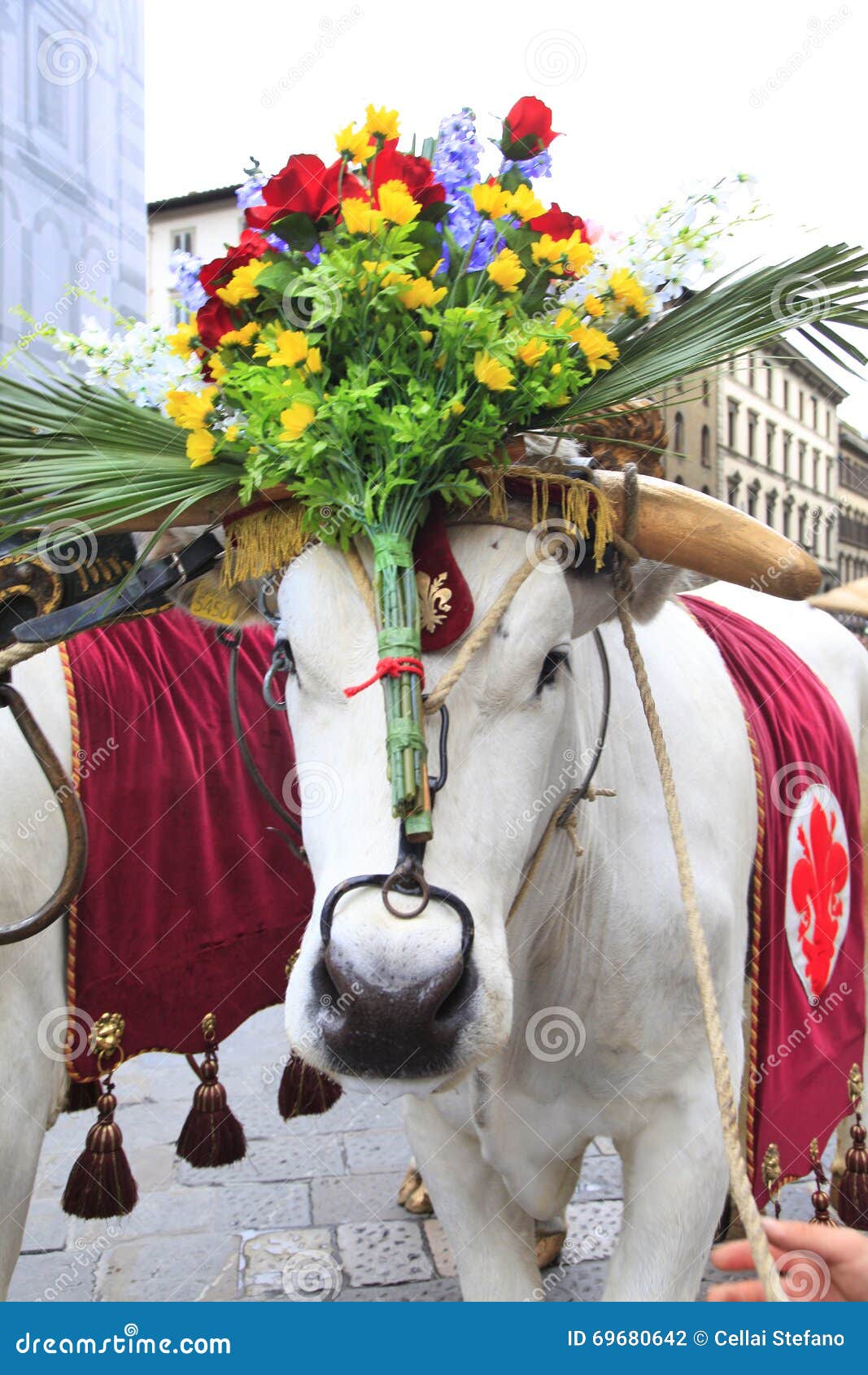 Florence, Explosion of the Cart Editorial Photography - Image of easter ...