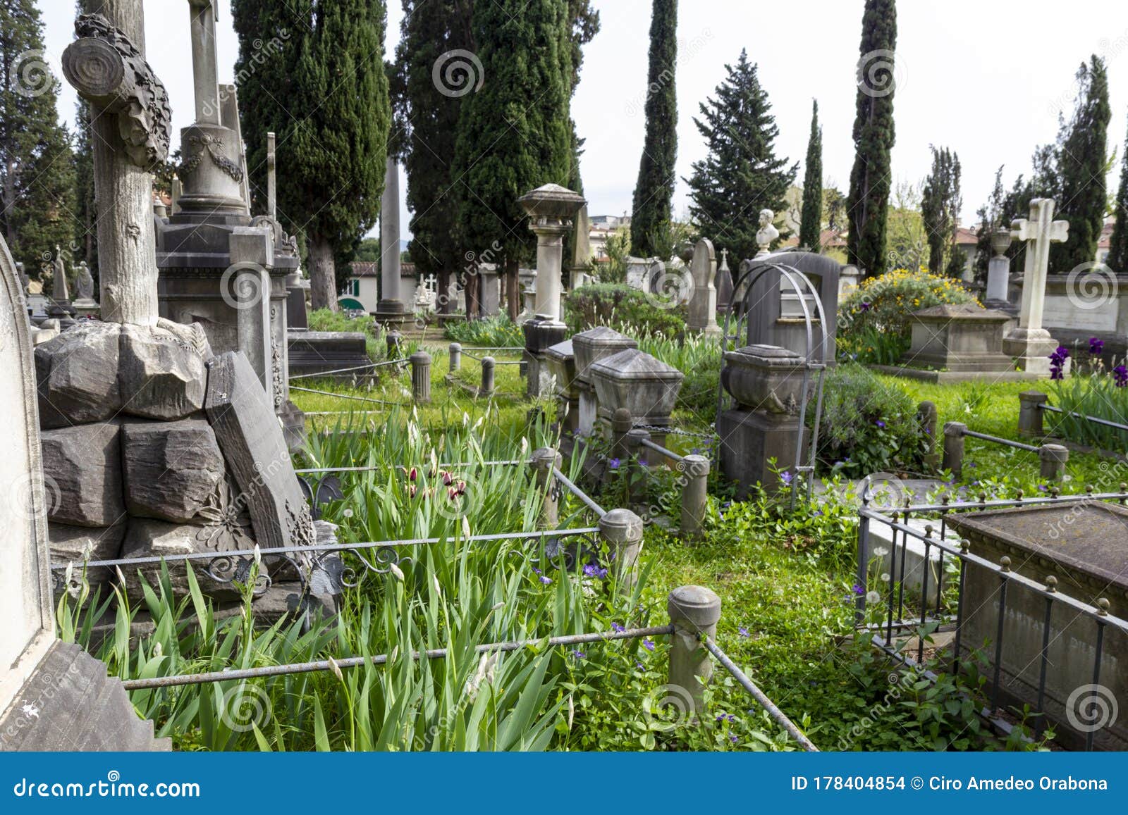 English cemetery stock photo. Image of white, florence - 178404854