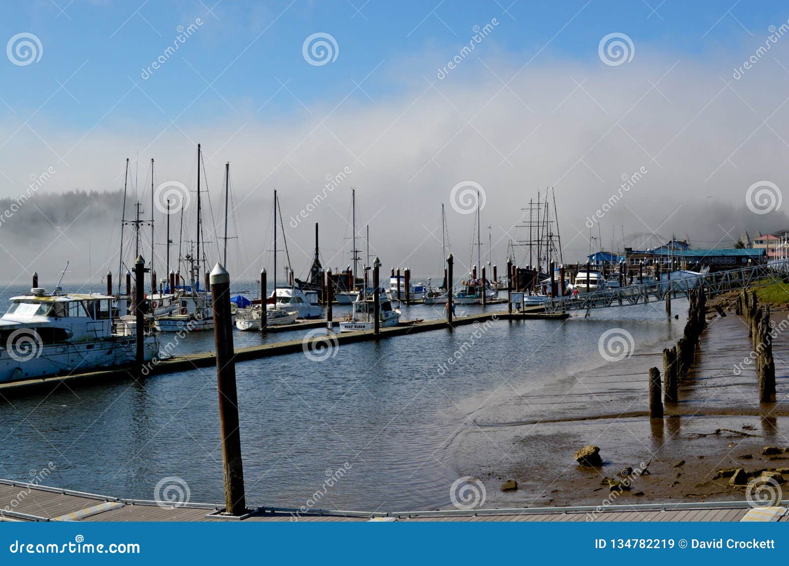 Florence Oregon Marina editorial stock image. Image of west - 134782219