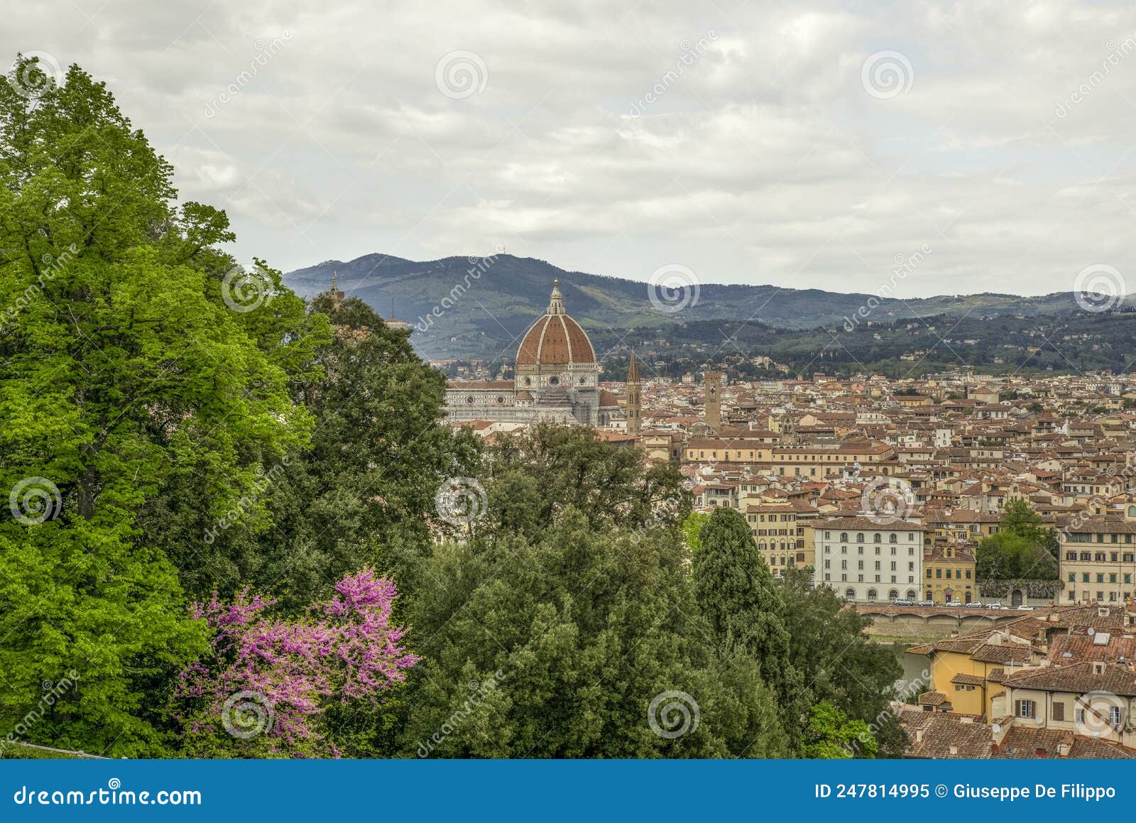 Florence Seen from a Colorful Garden in Spring Stock Image - Image of ...