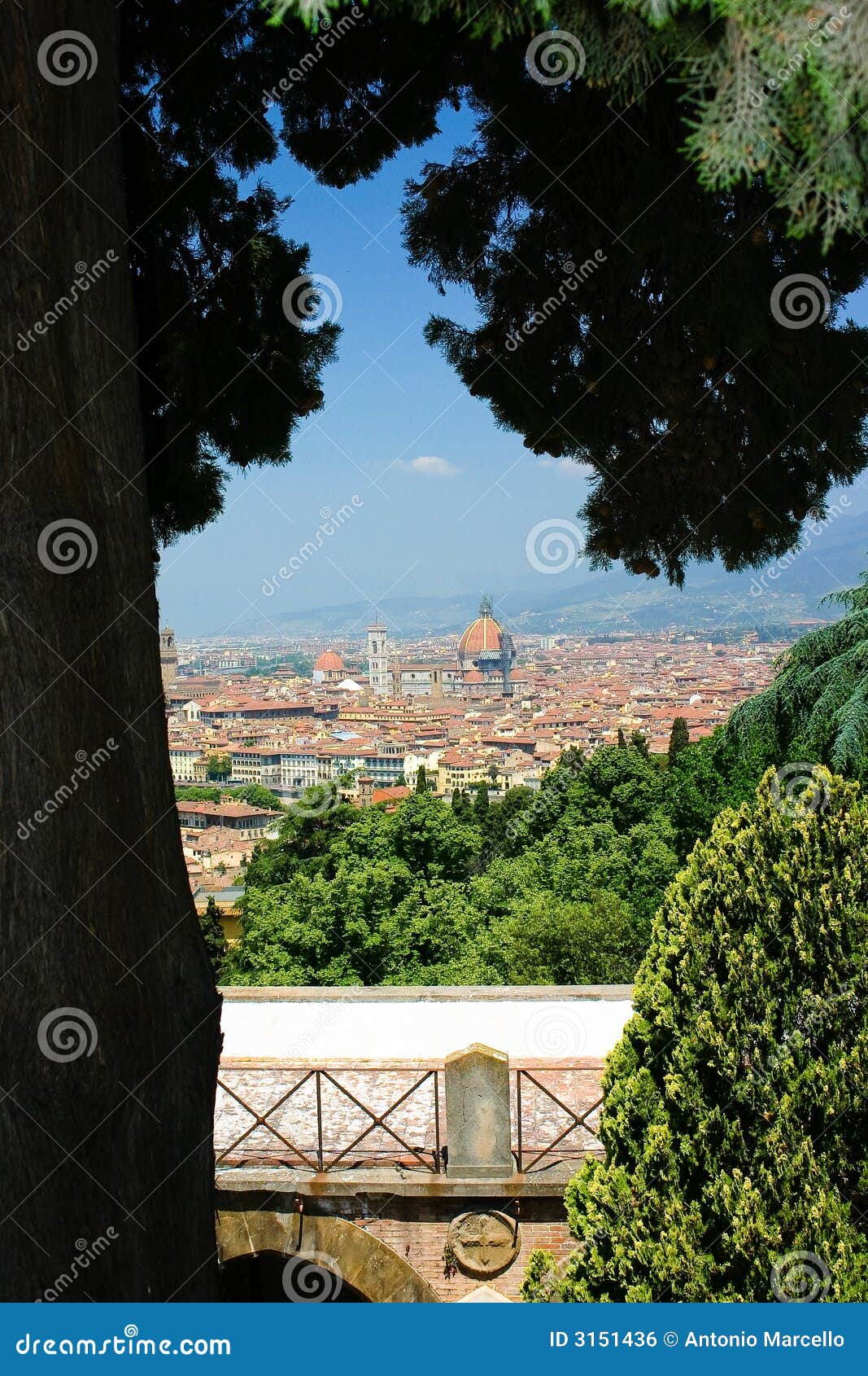 Florence From The Tree Picture. Image: 3151436