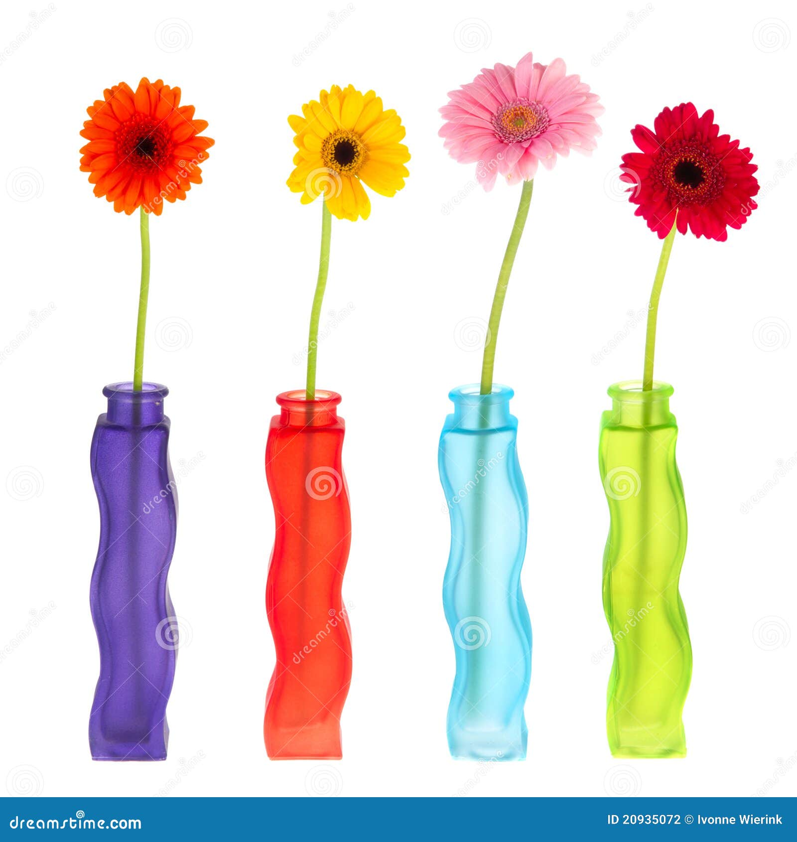 Floreros Modernos Coloridos Con Las Flores Foto de archivo - Imagen de ...